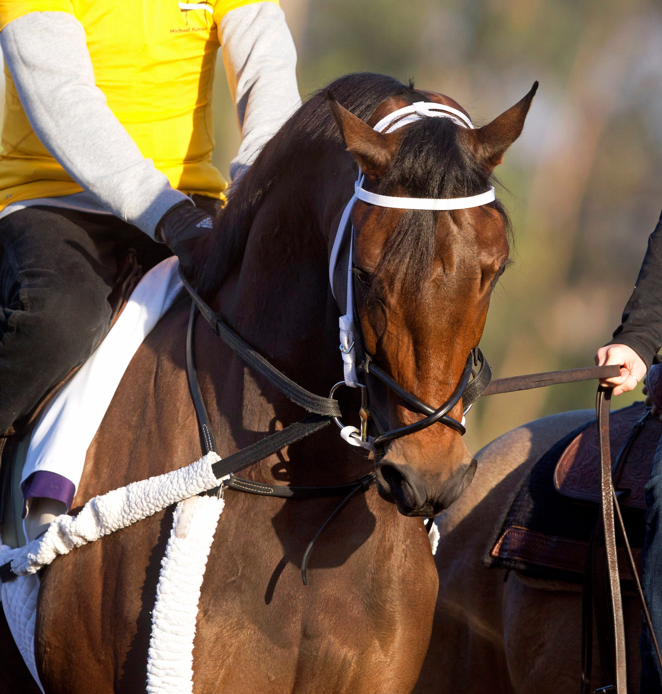 Hushion has ambitious plan for Artemis Agrotera