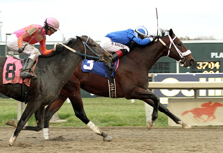 Central Park a tougher race for Ashraq if switched to dirt