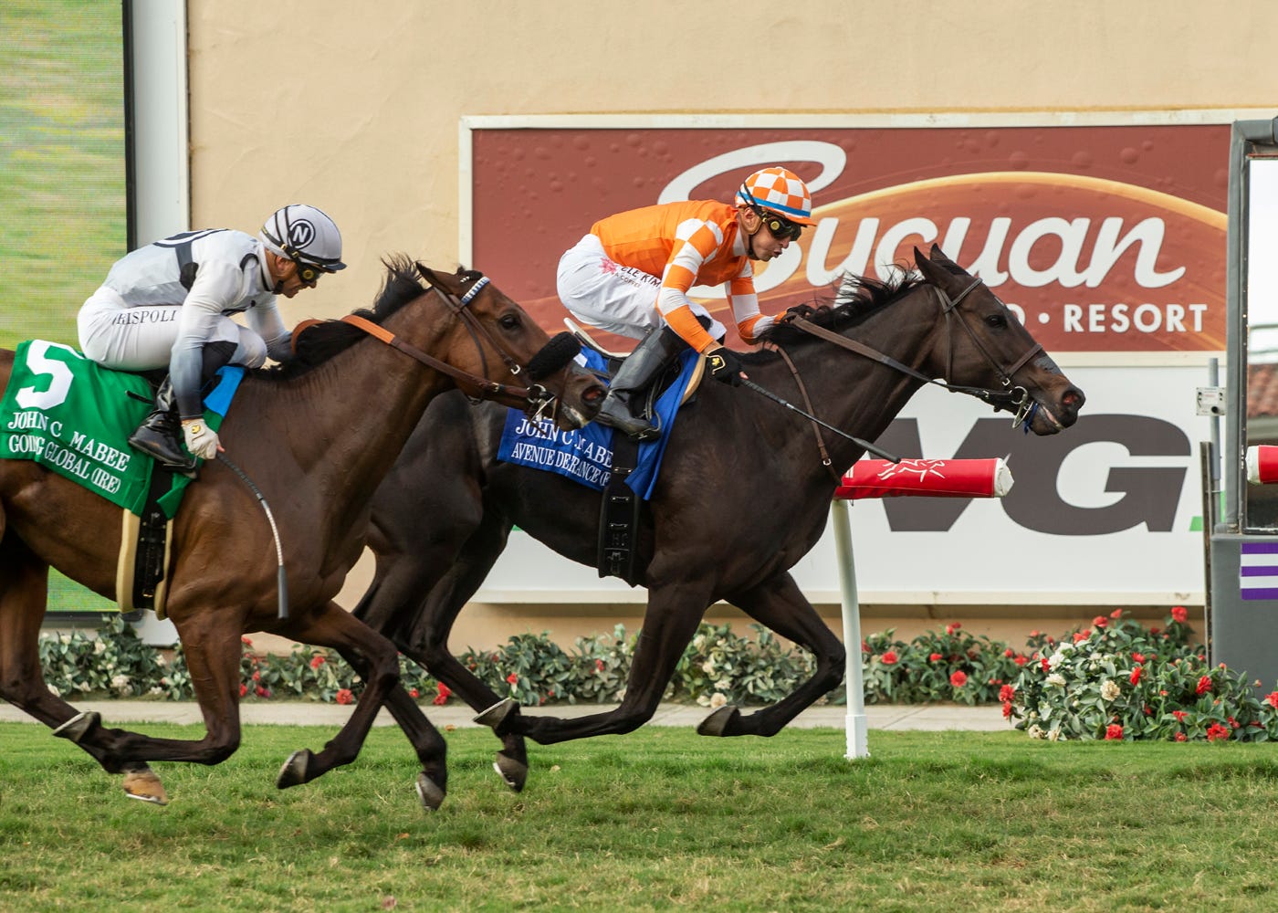 Avenue de France outruns Going Global in John Mabee Stakes