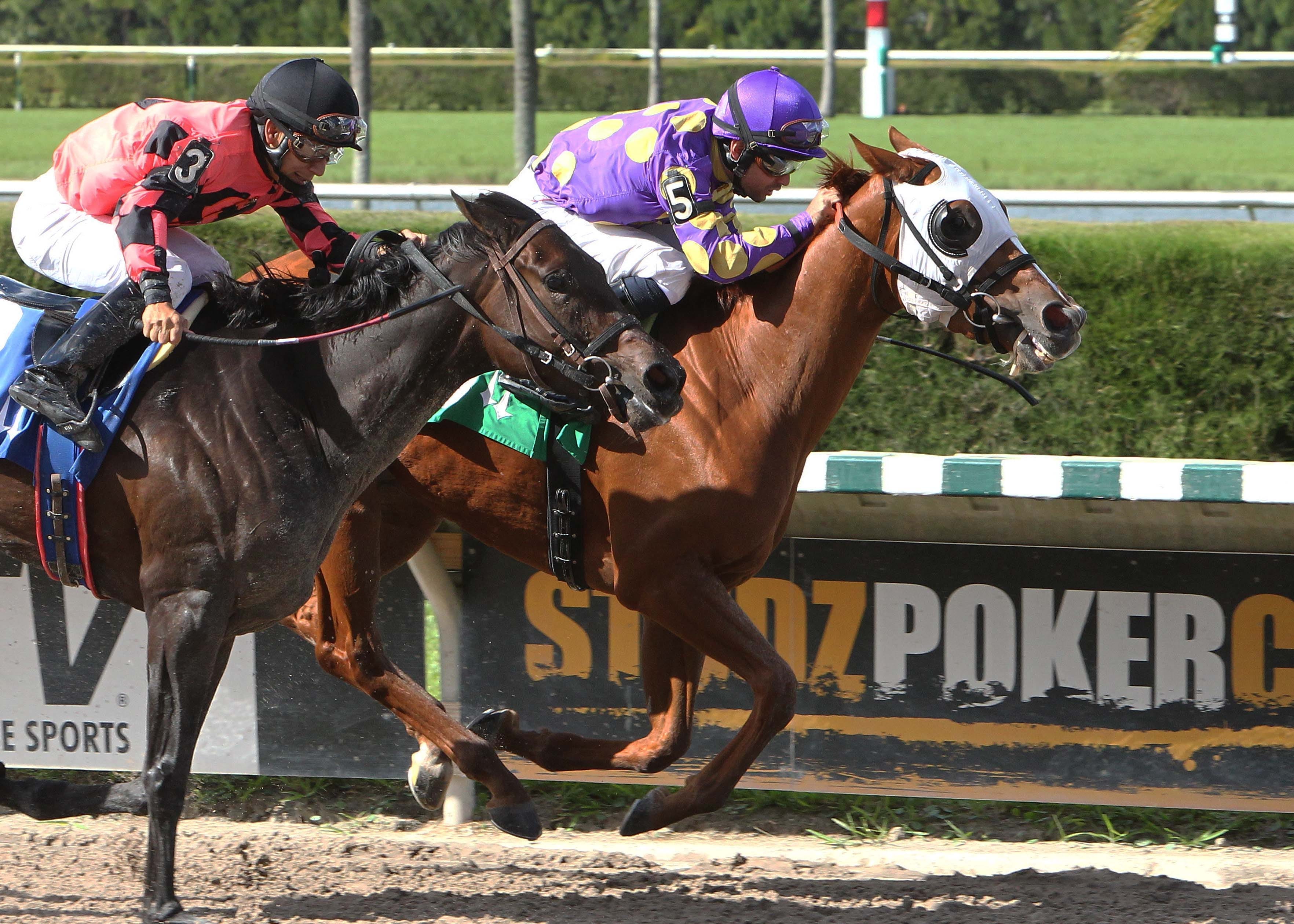 Calder: Awesome Belle takes Frances Genter, Cash Rules wins close one ...