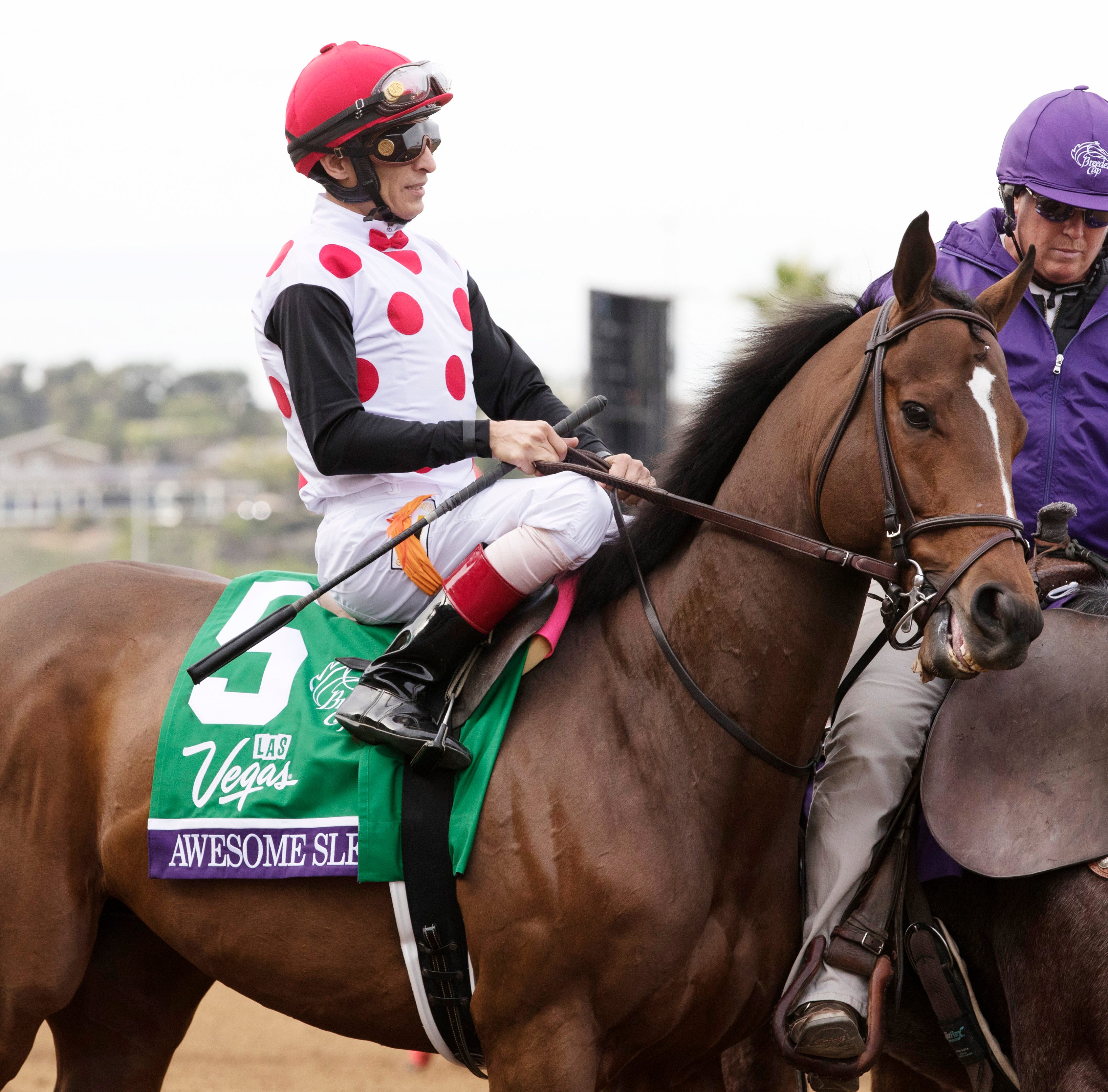 Florida Stallions: Awesome Slew, Bucchero still shine in Sunshine State