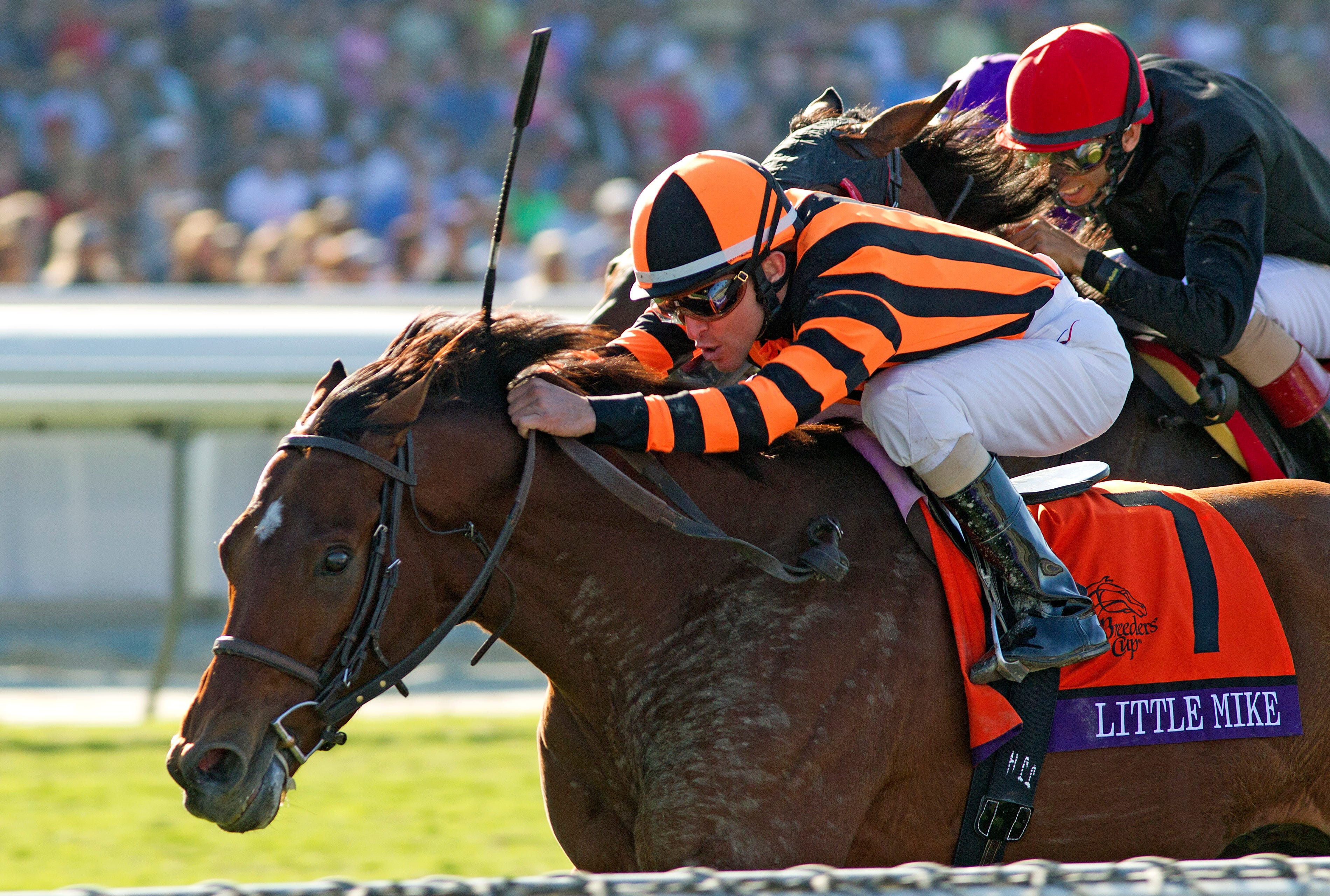 Breeders' Cup Turf: Little Mike continues to defy expectations
