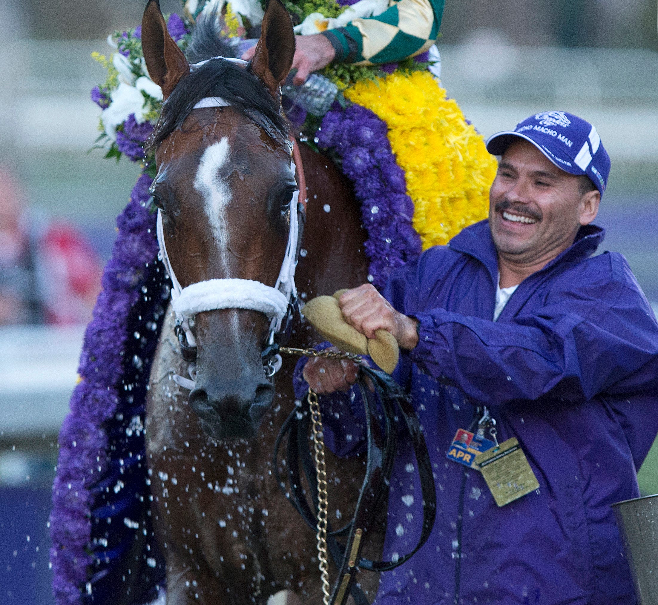 Andrew Beyer: Mucho Macho Man deserving of Horse of the Year title