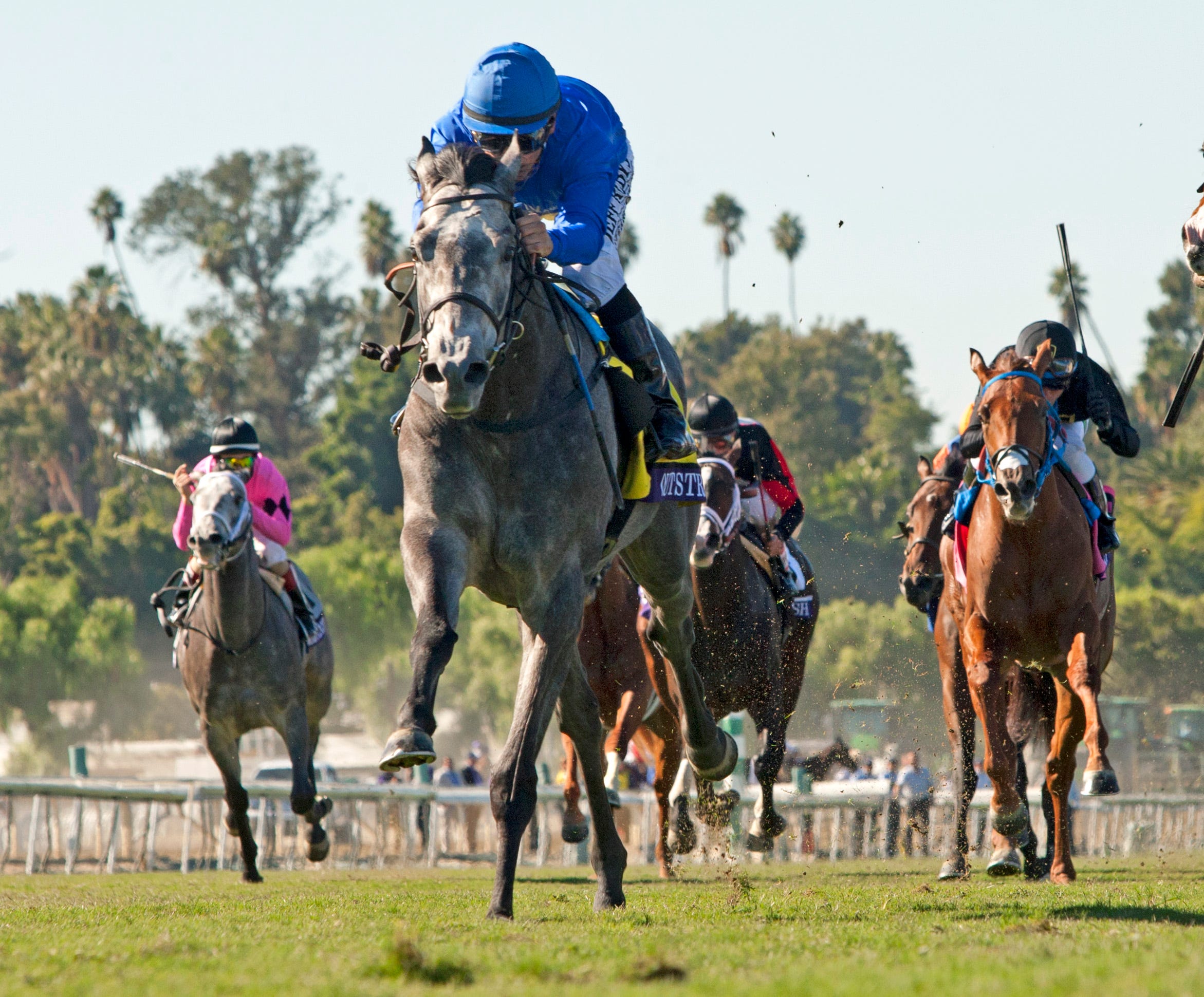 Breeders' Cup Juvenile Turf: Outstrip makes final move to top European ...