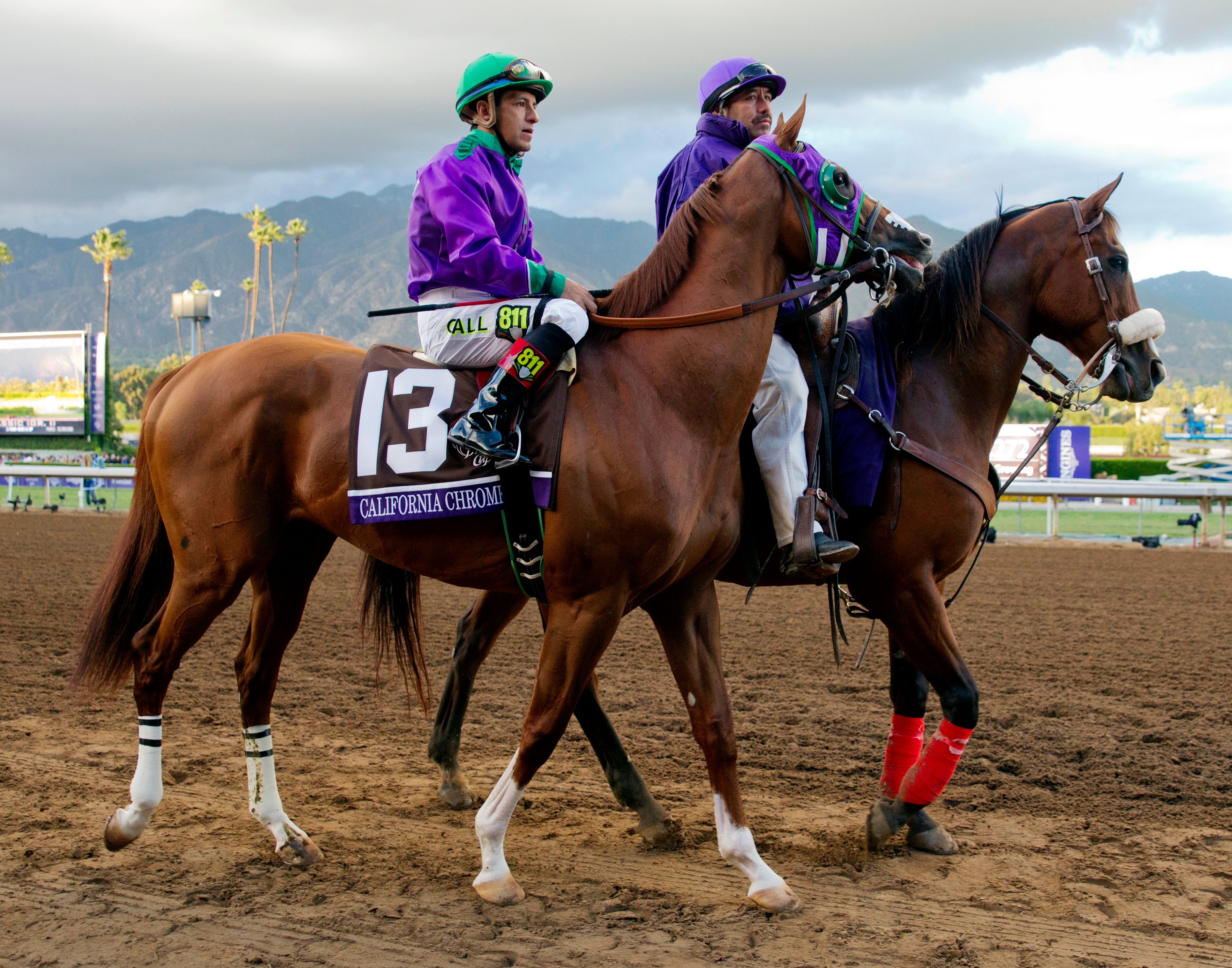 California Chrome eager in work