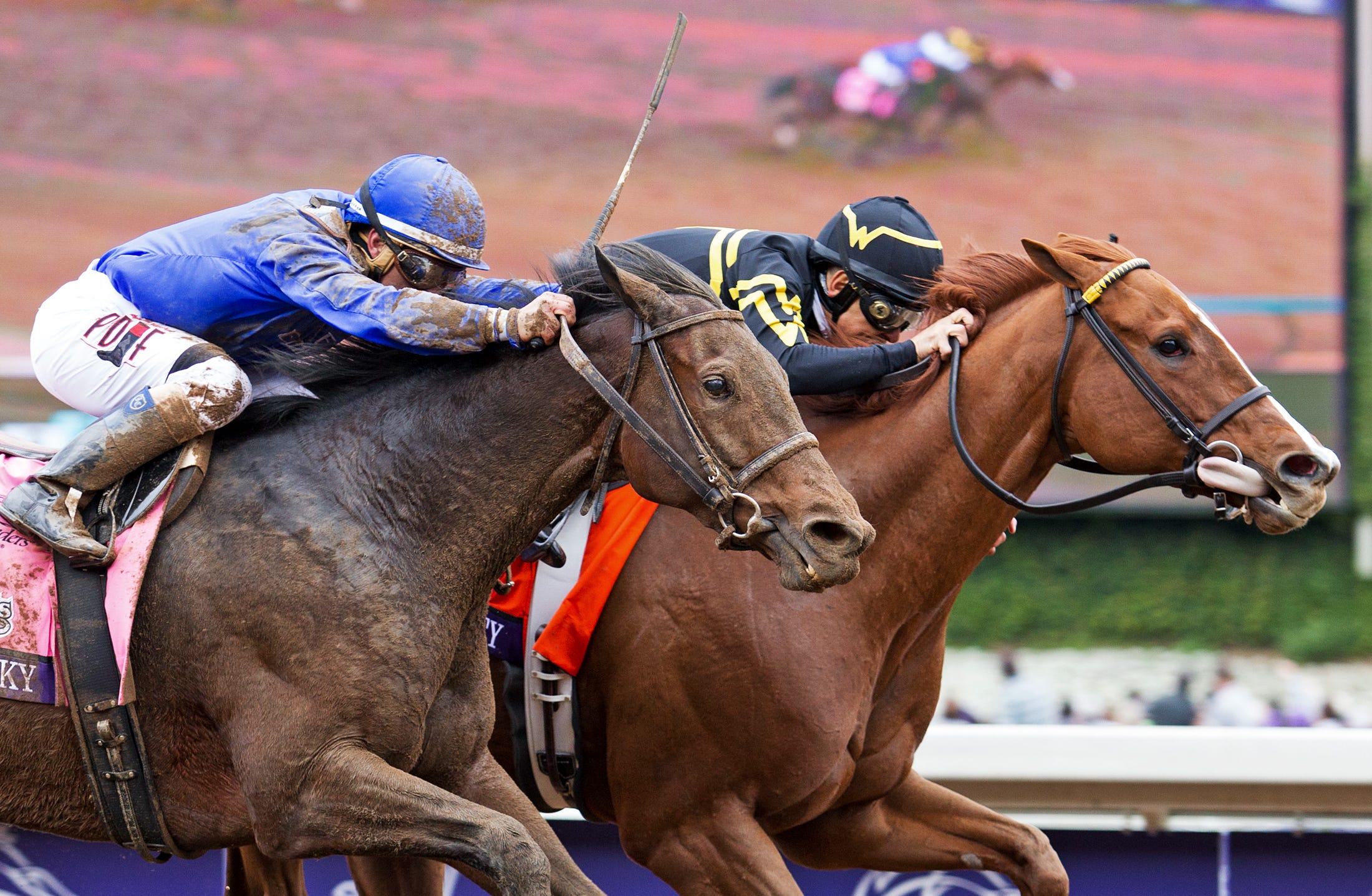 Sparkman: Baby Zip exerts influence on Breeders' Cup