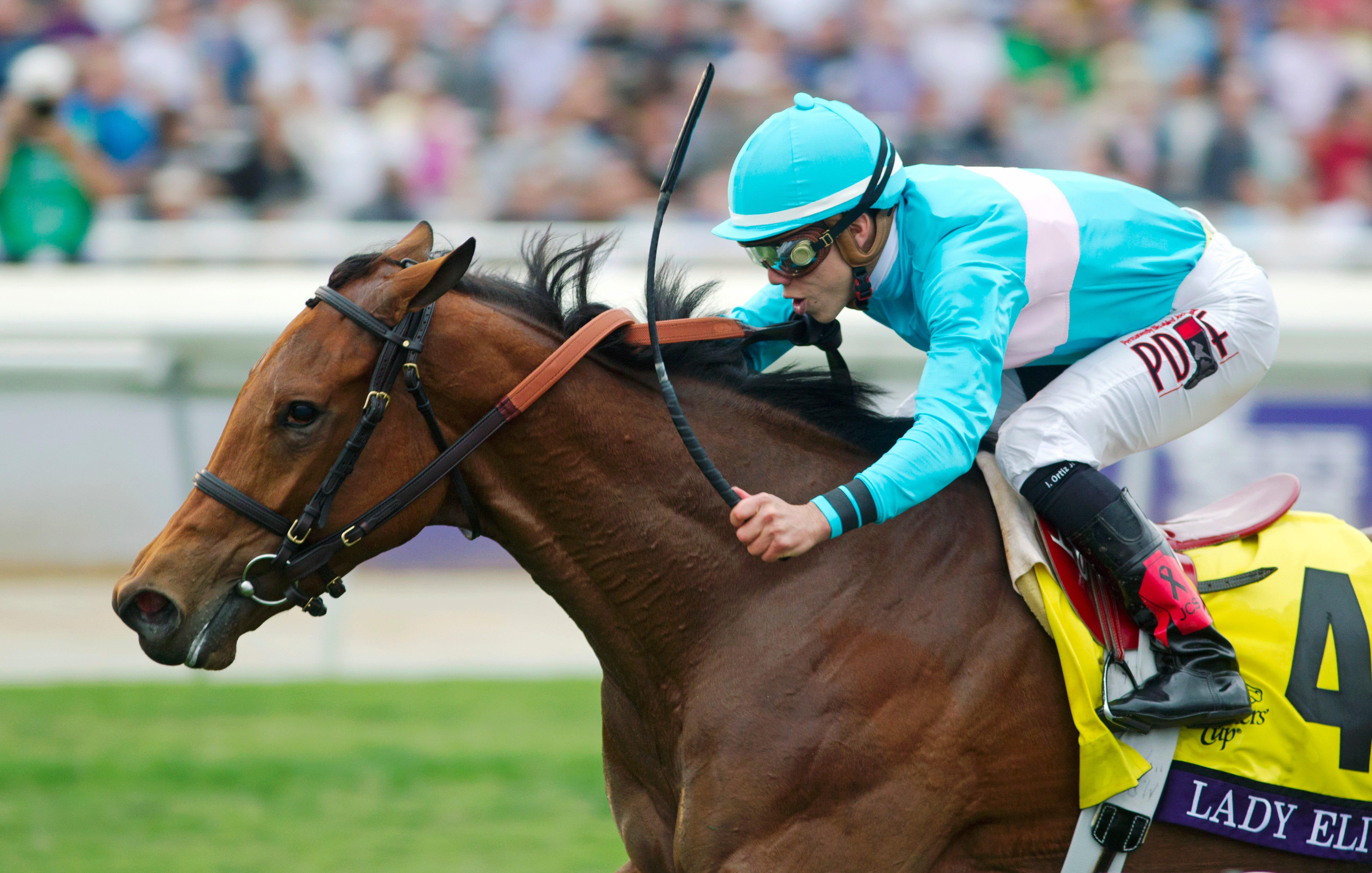 Brown loaded for spring meet