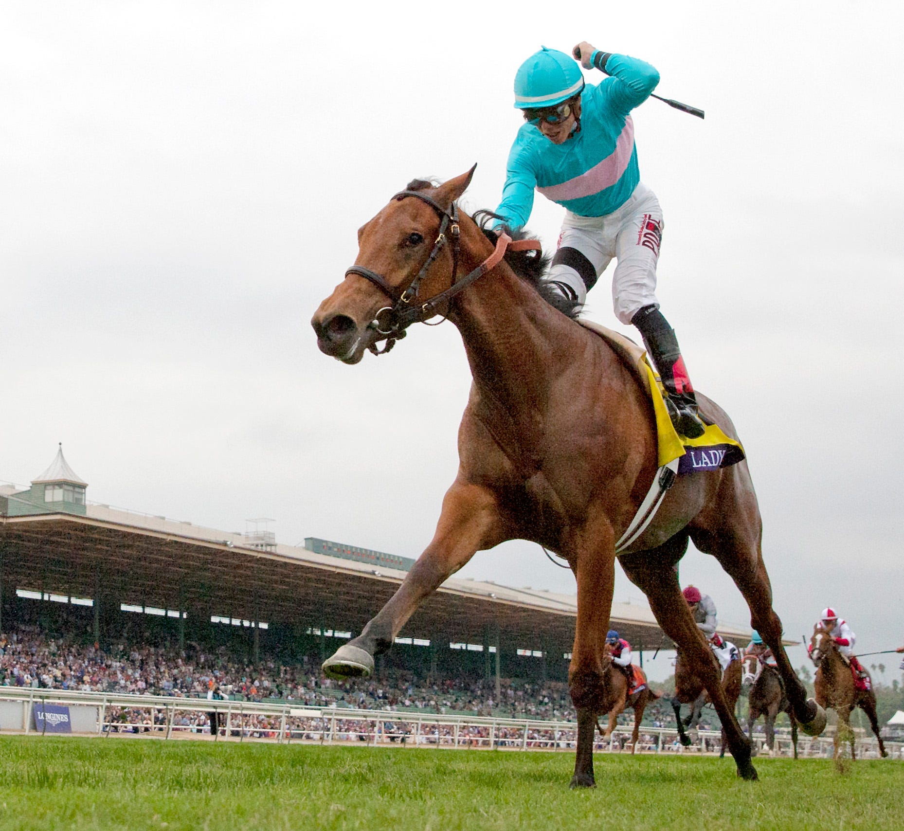 Lady Eli, Sunset Glow renew Breeders’ Cup rivalry in Appalachian
