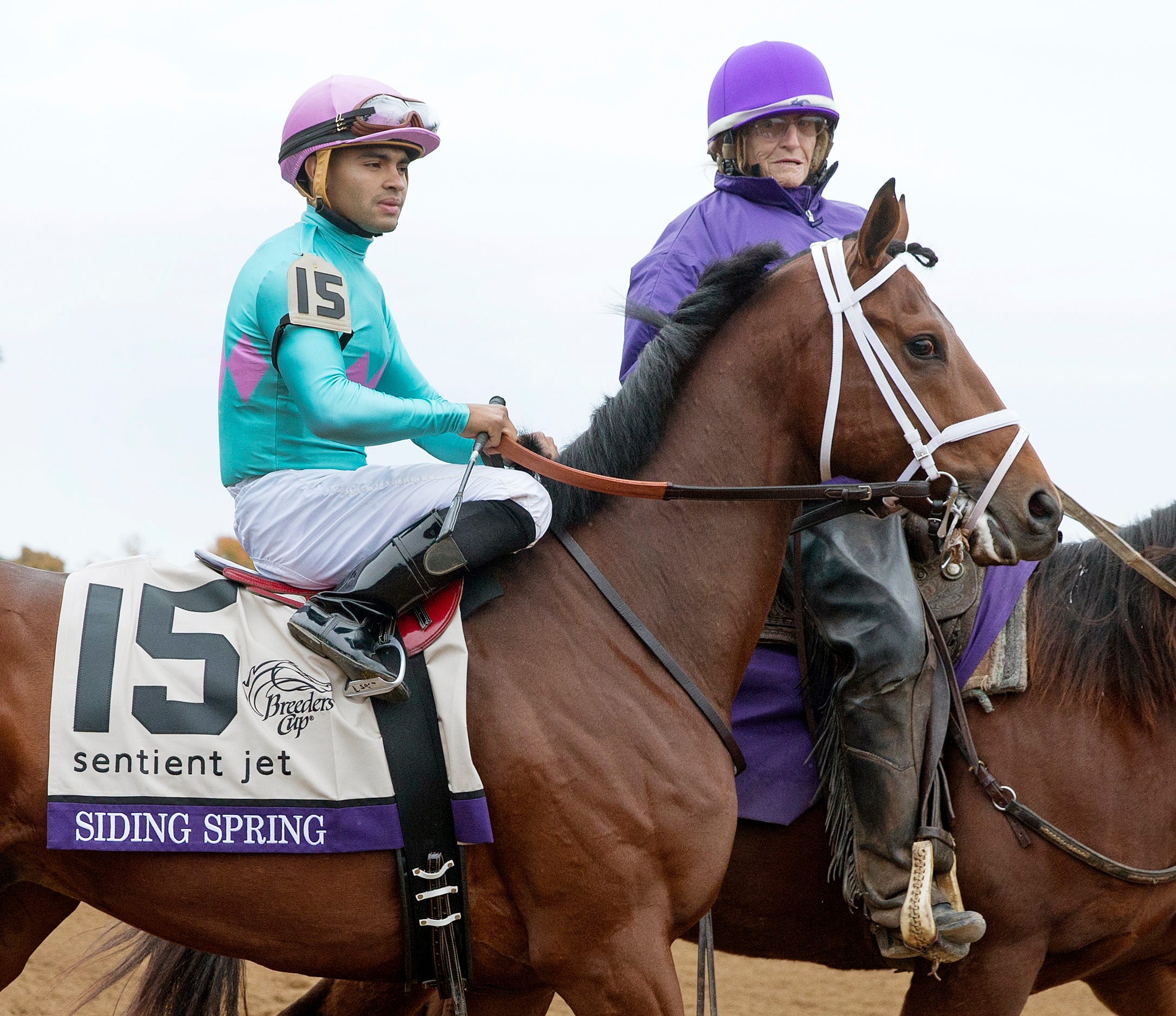 Siding Spring looks ready off the layoff