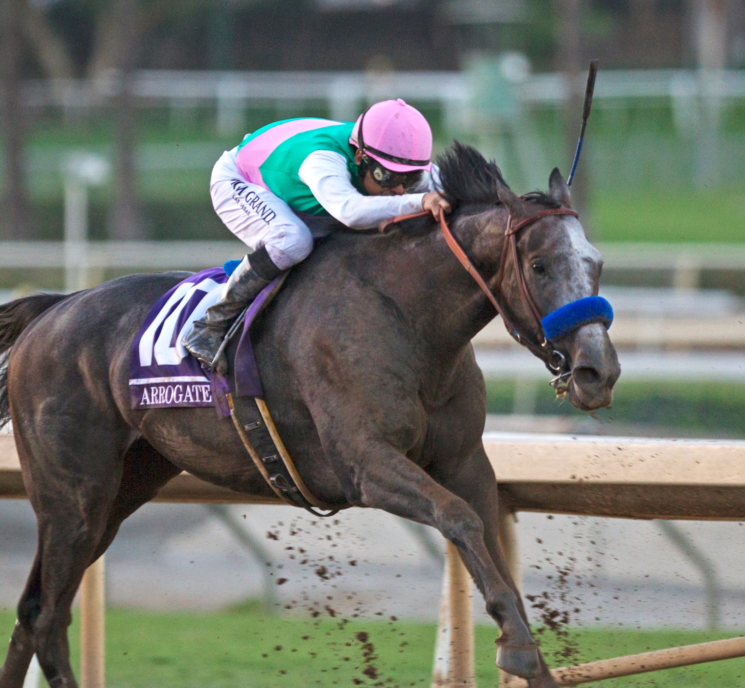 Arrogate's work has Baffert thinking San Pasqual Stakes