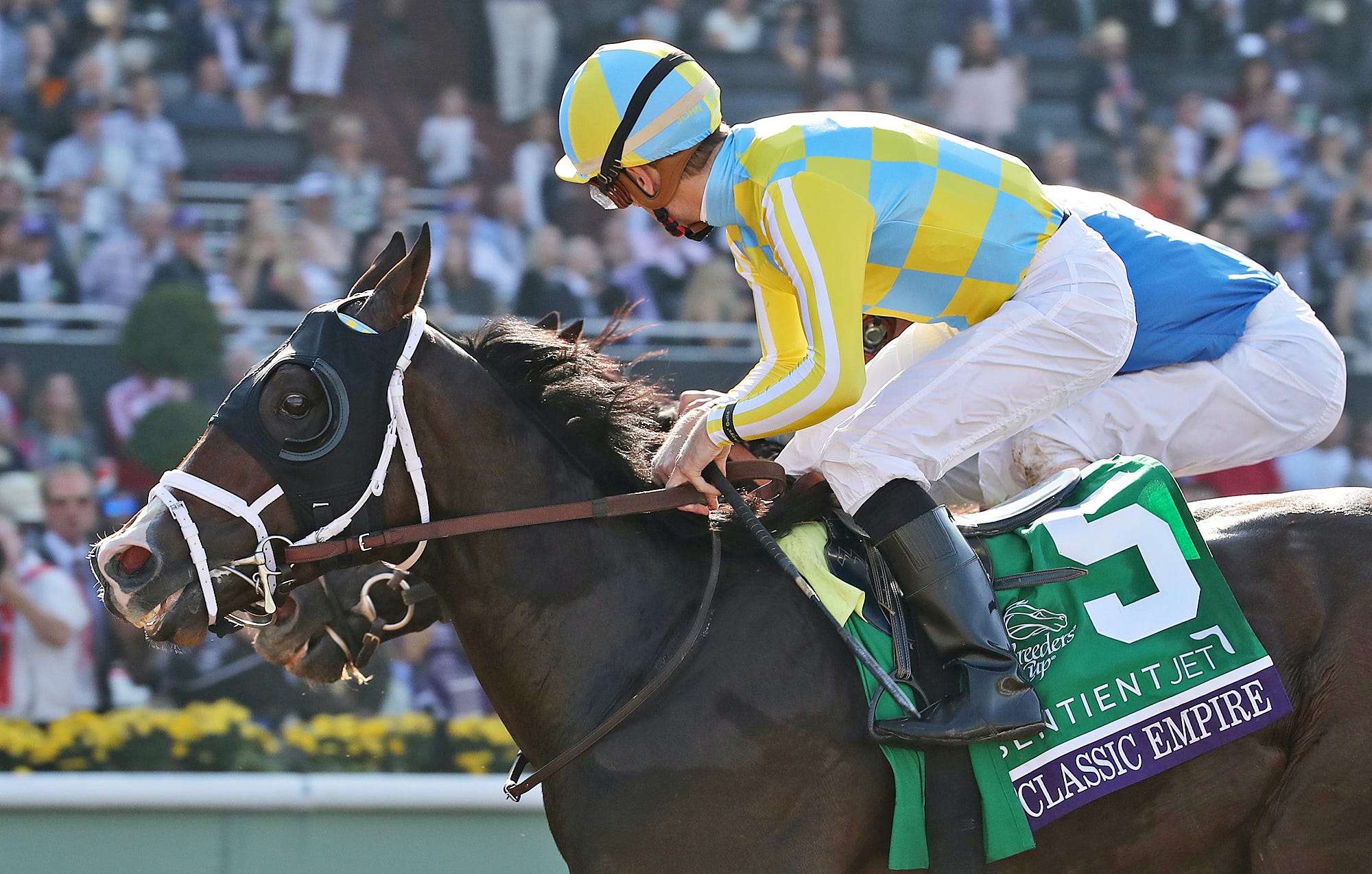 Classic Empire on target for Holy Bull