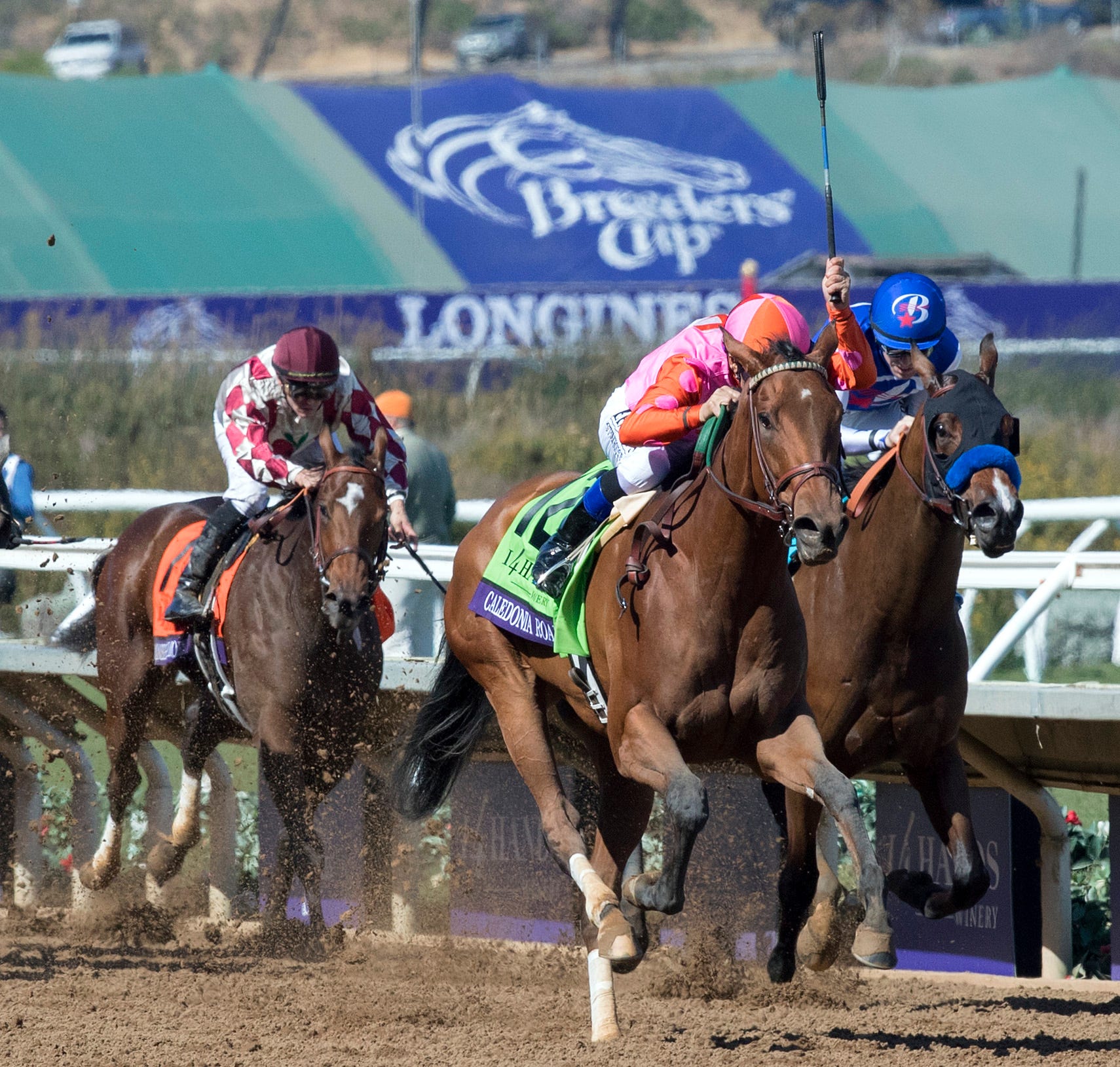 Caledonia Road nears return, but won't make Gulfstream Oaks