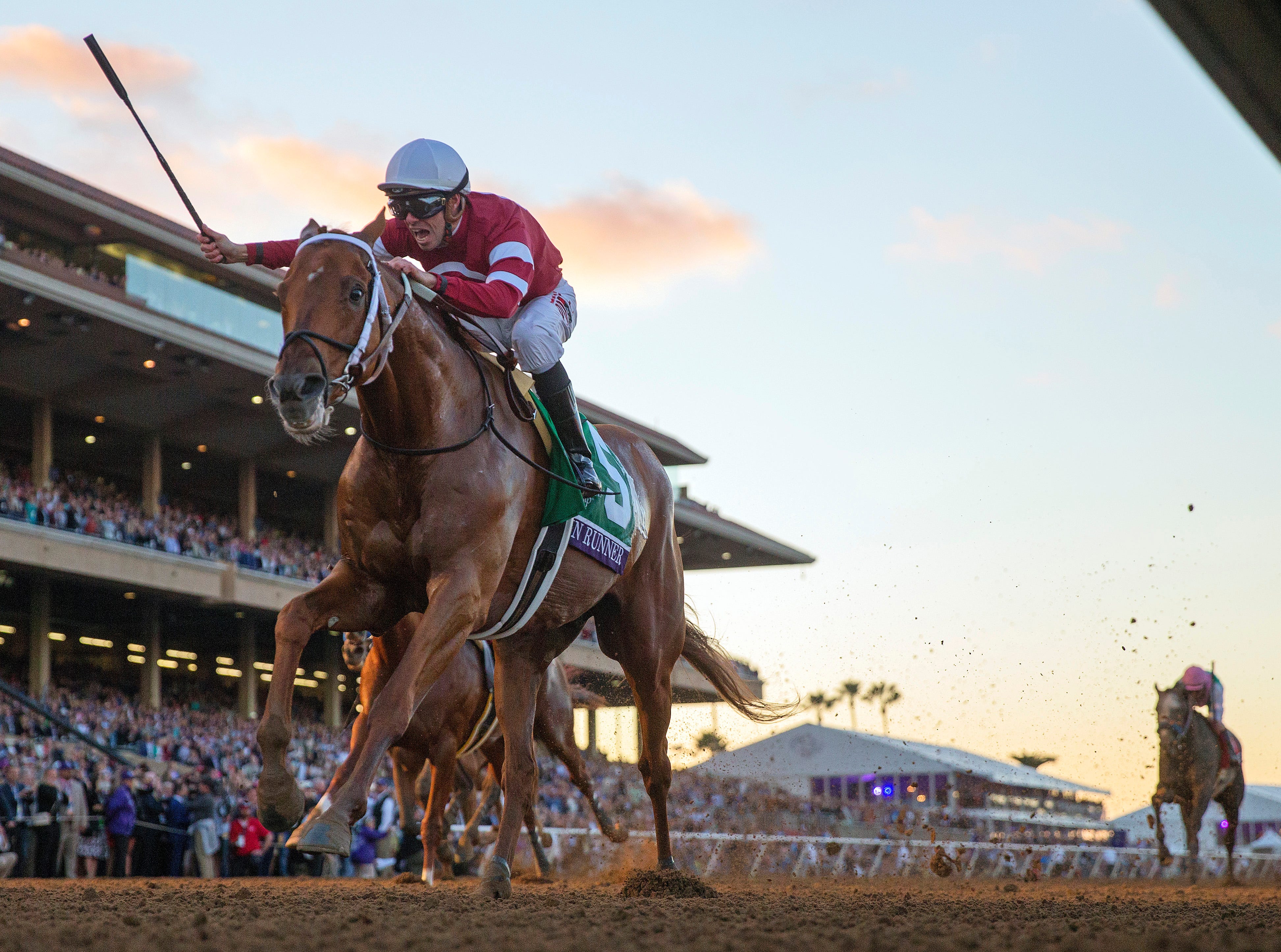 Gun Runner saves best for last in Breeders' Cup Classic