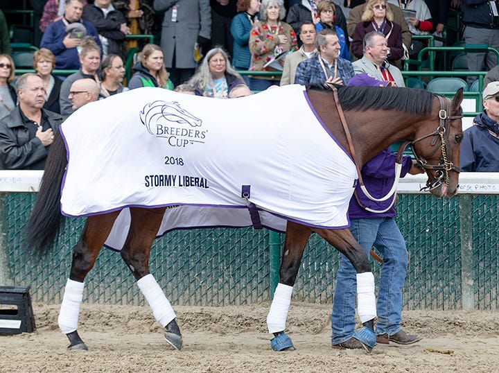 Kentucky Downs and the stallion Stormy Atlantic have both reached new ...