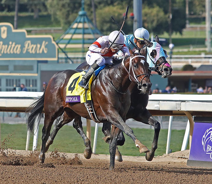 Spendthrift's young guns represented at OBS March sale