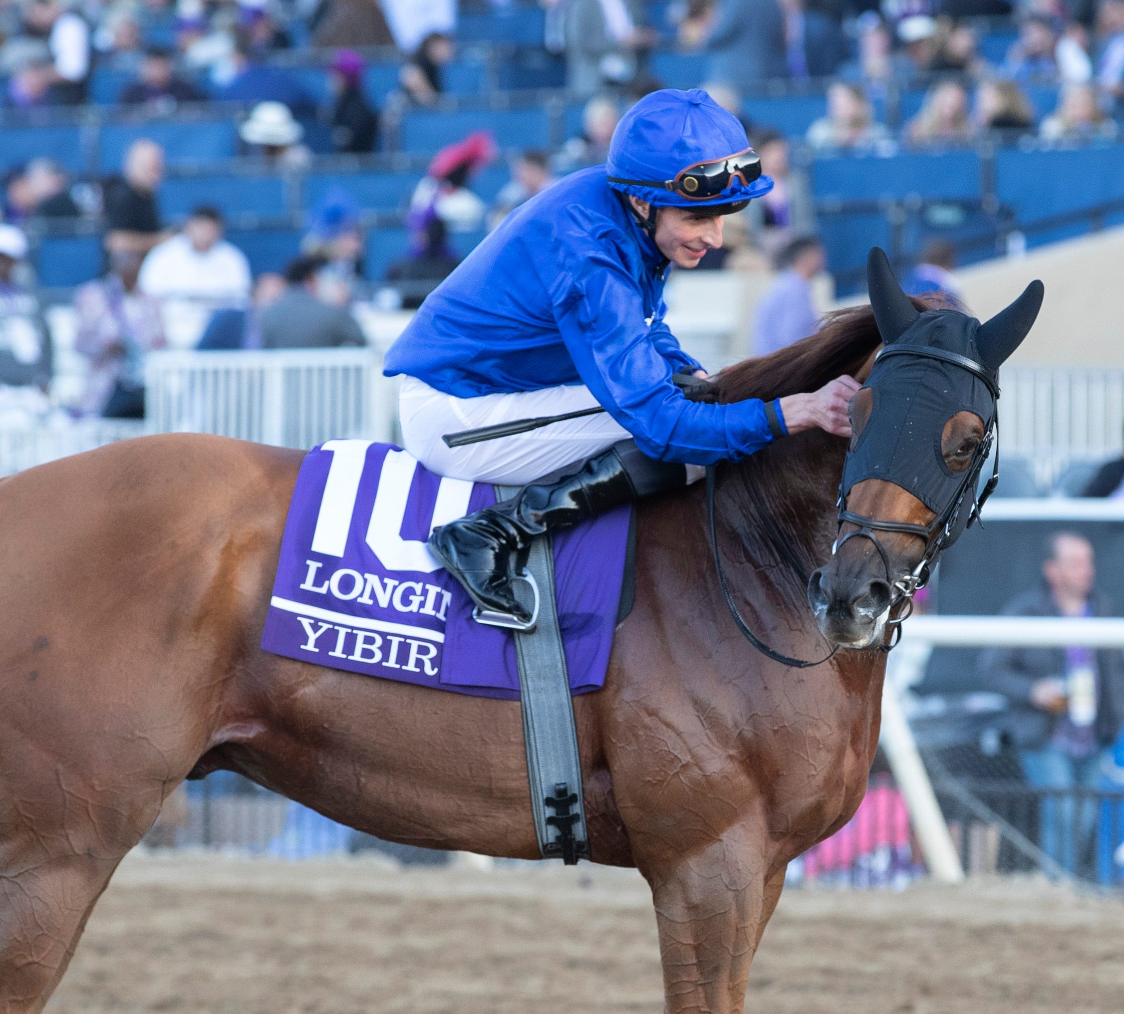 Appleby, Yibir look for more U.S. success in Man o' War Stakes