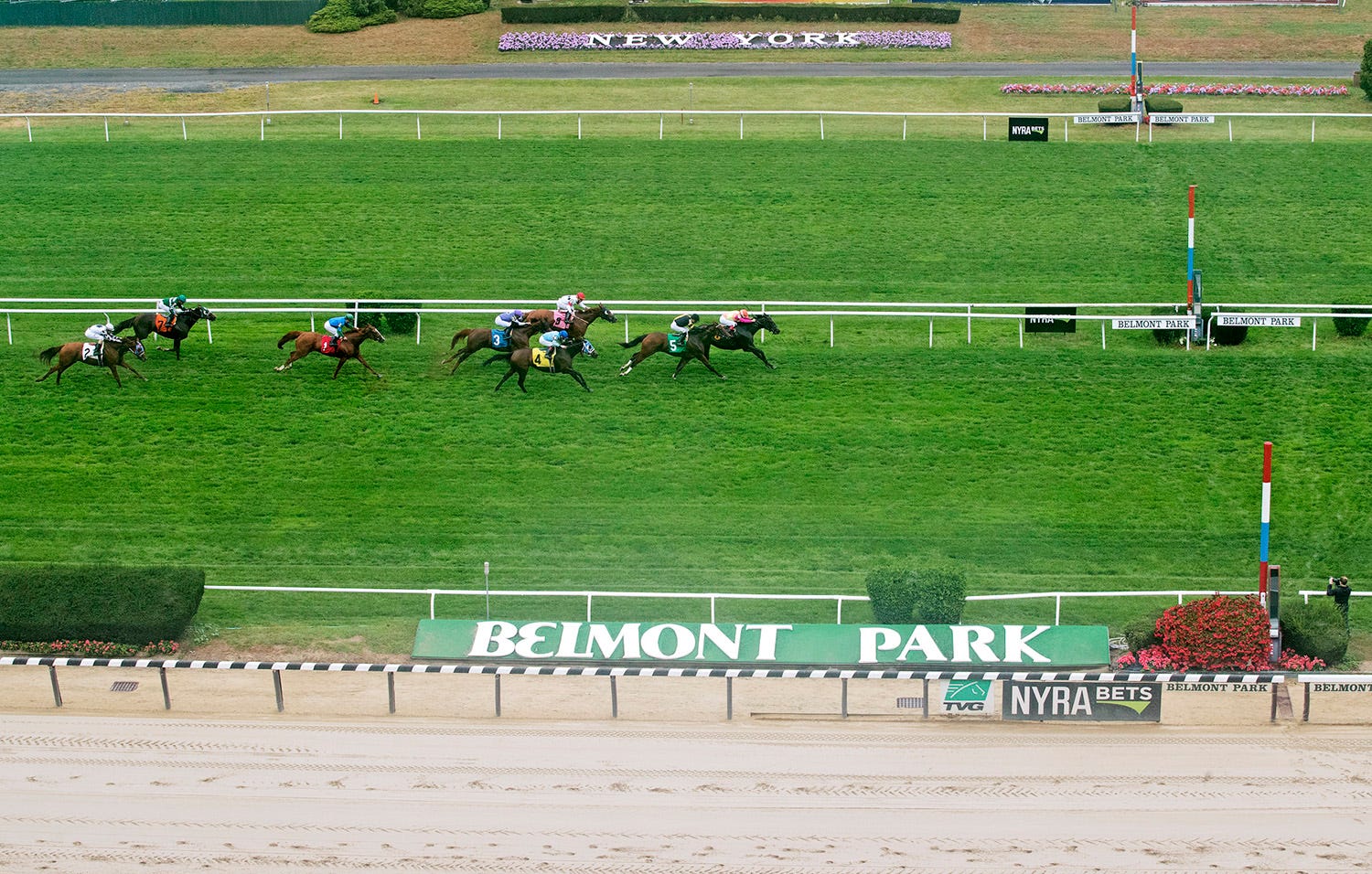 Synthetic addition considered as part of major Belmont track renovation