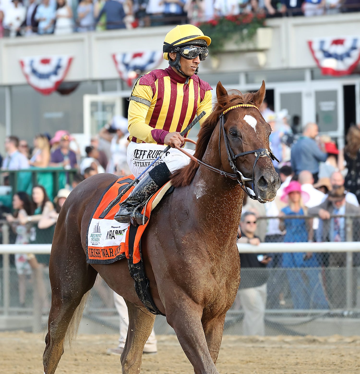 Irish War Cry might make 4-year-old debut in Hal's Hope