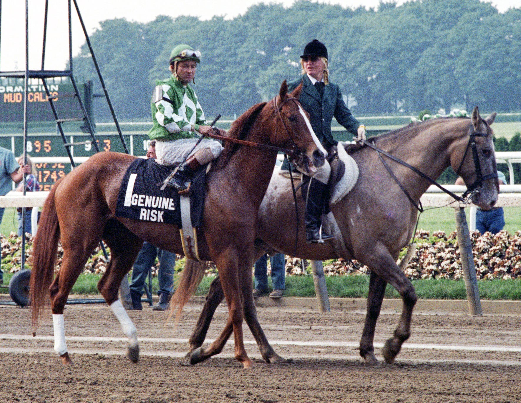 Genuine Reward, son of Genuine Risk, to Old Friends