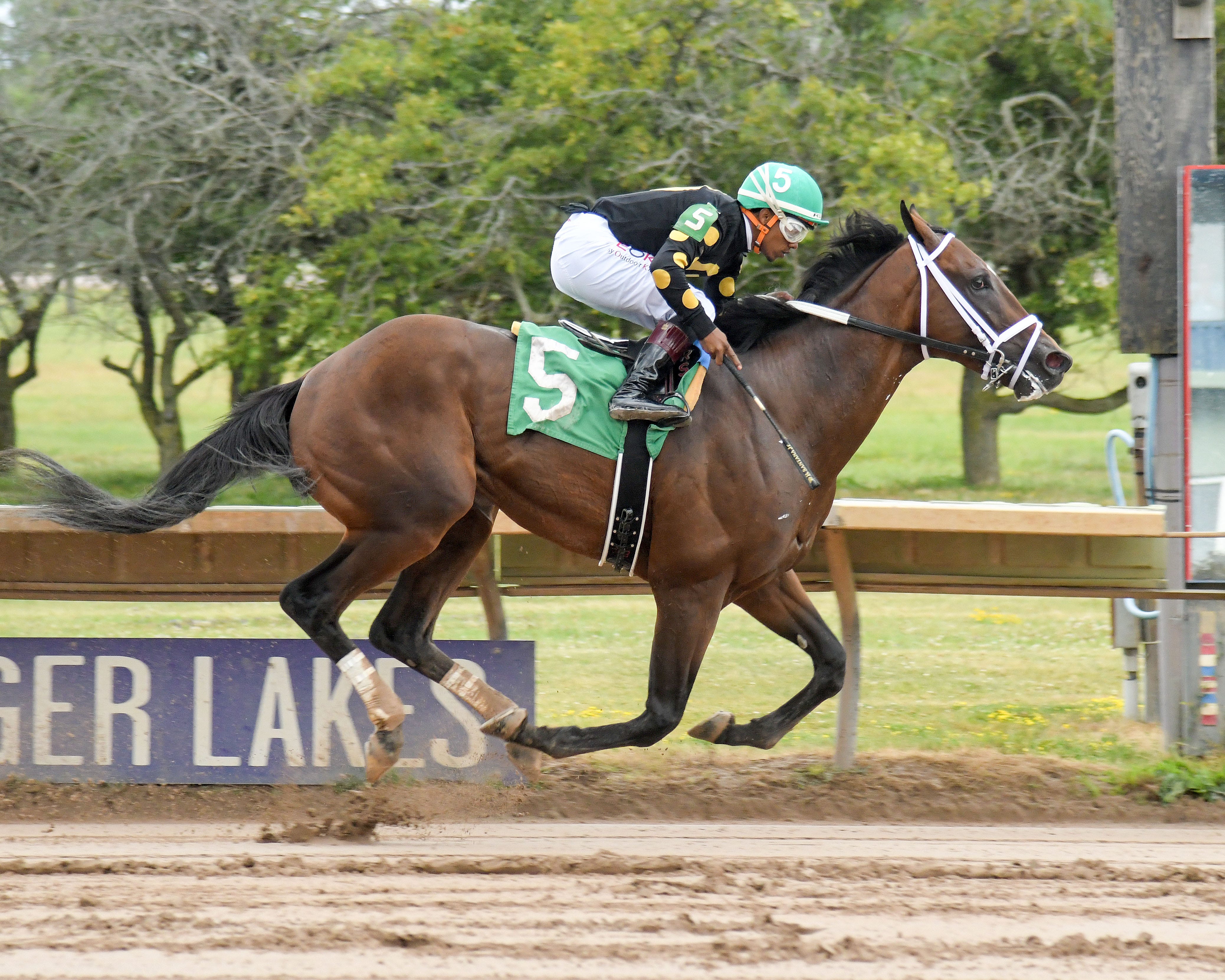Alex M. Robb: Barese searching for a win against red-hot Dr. Blute