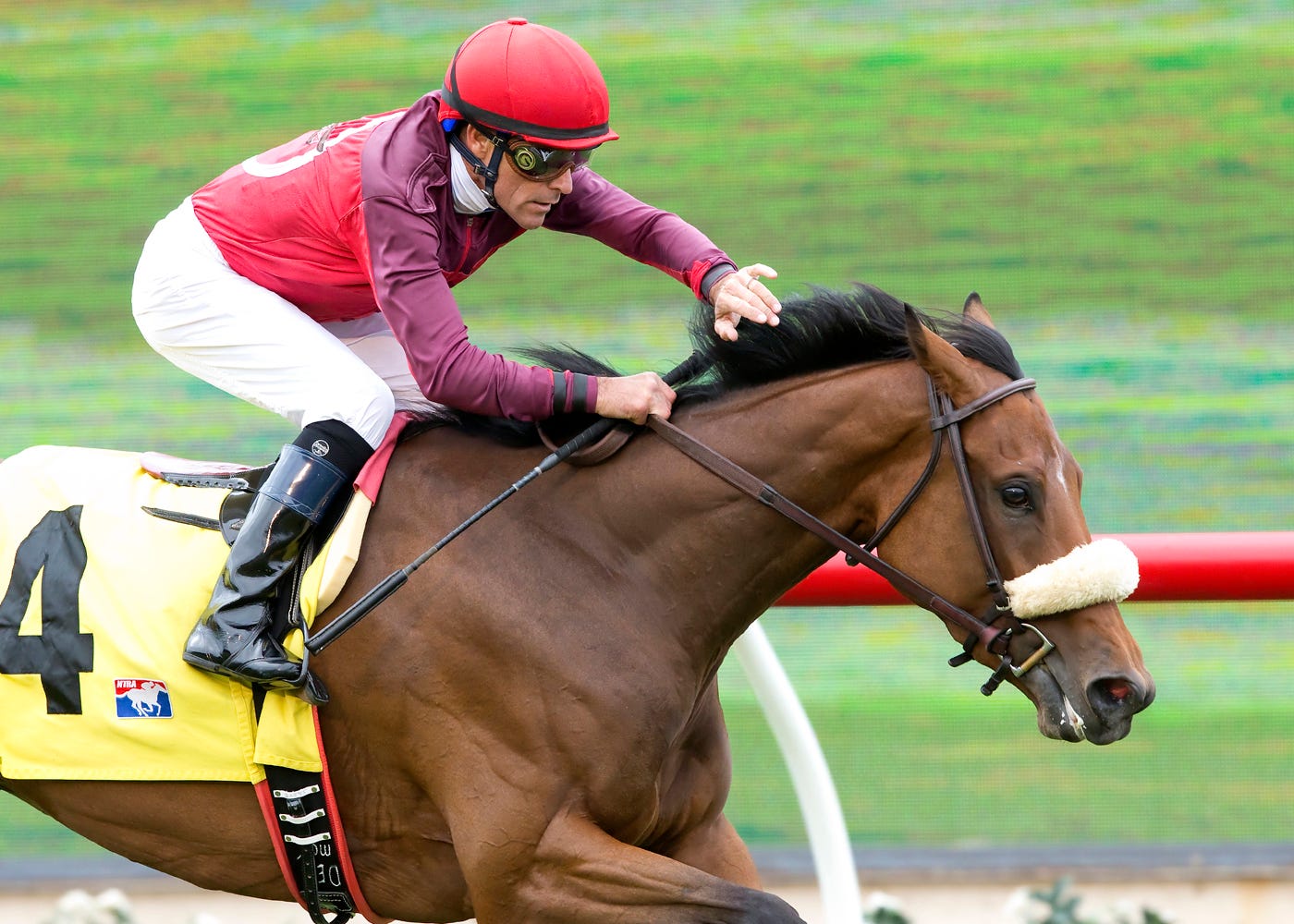 More-mature Barleysugar a threat in John Mabee Stakes