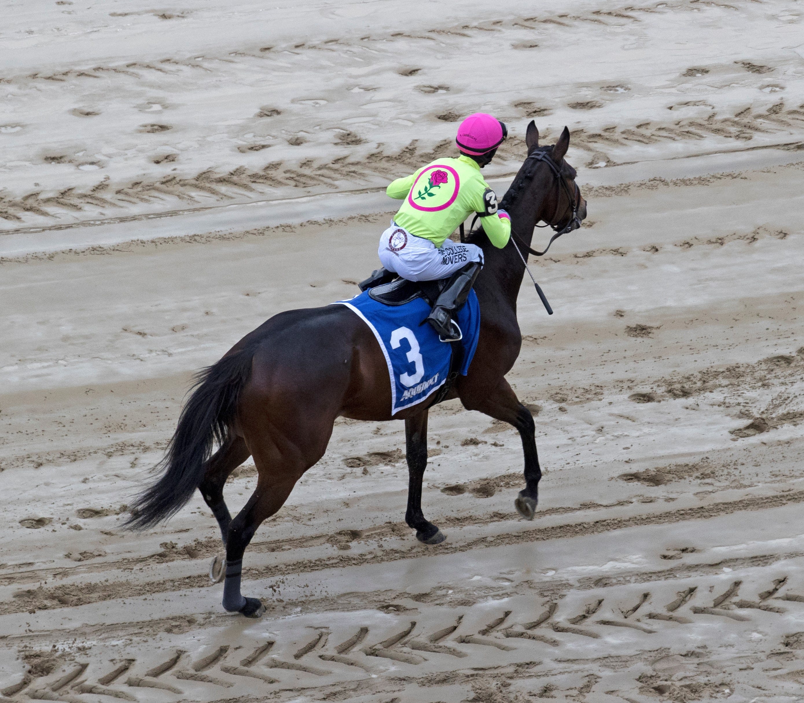 Super-claim Battle Bling tries to rebound and repeat in Ladies