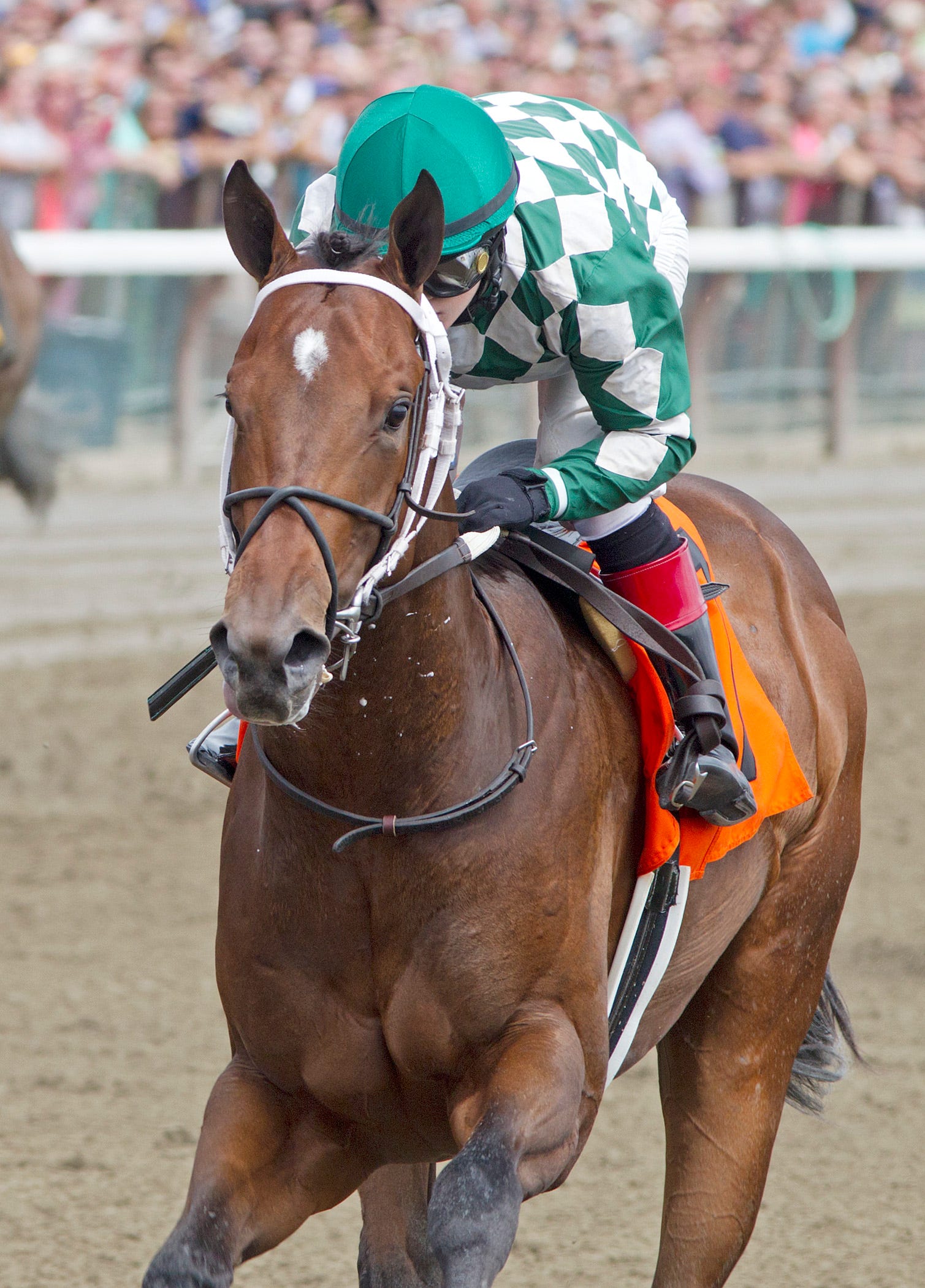 High Noon Rider's path should become clearer after Springboard Mile