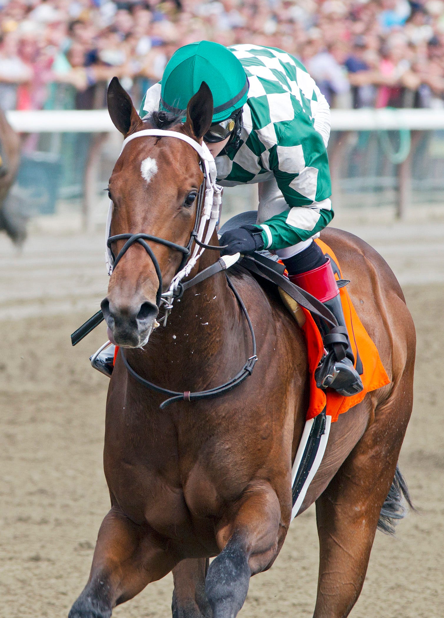 Cinco Charlie, Bayerd back sprinting for Gazebo