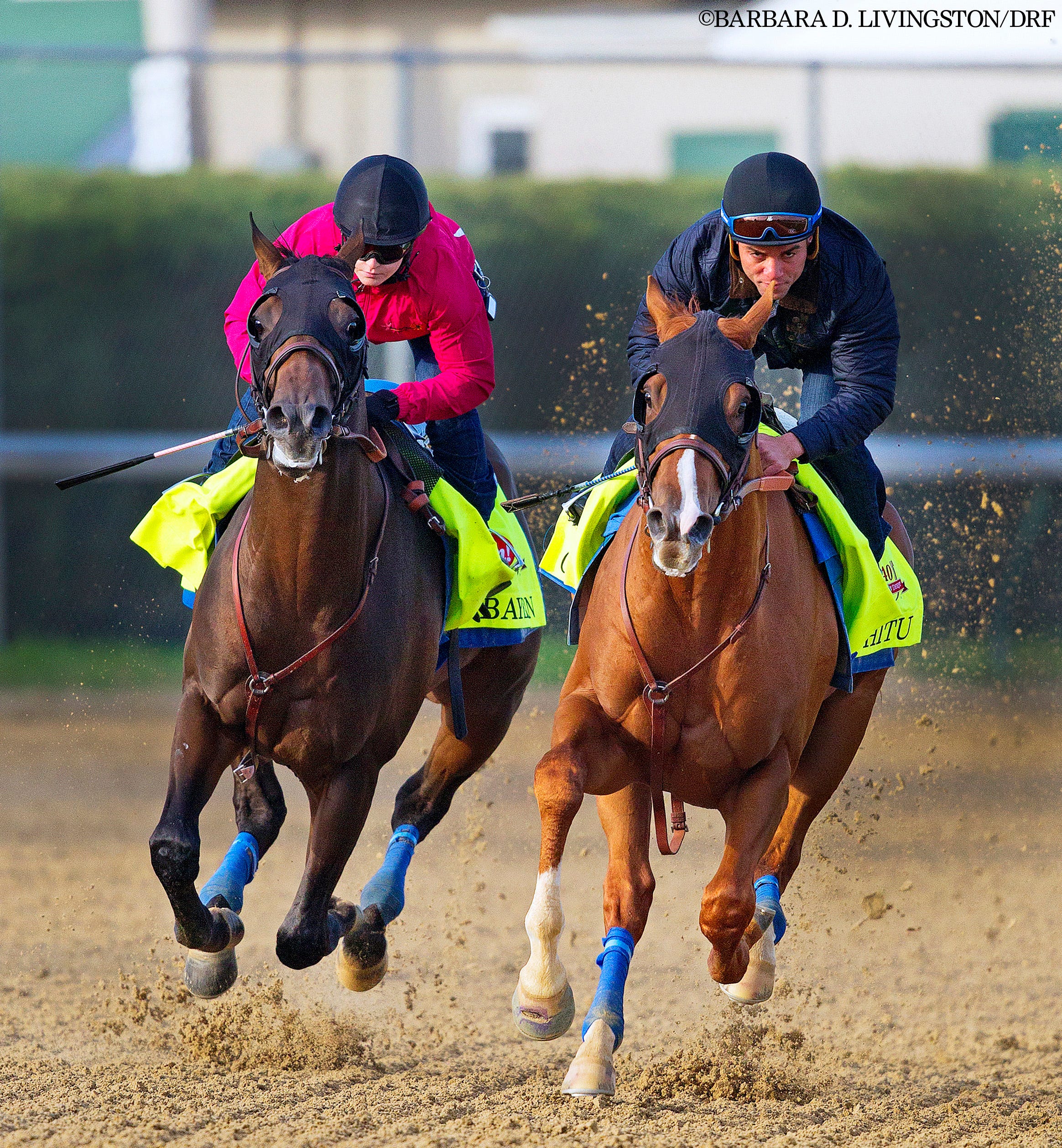 Derby Trial draws field of 10 runners