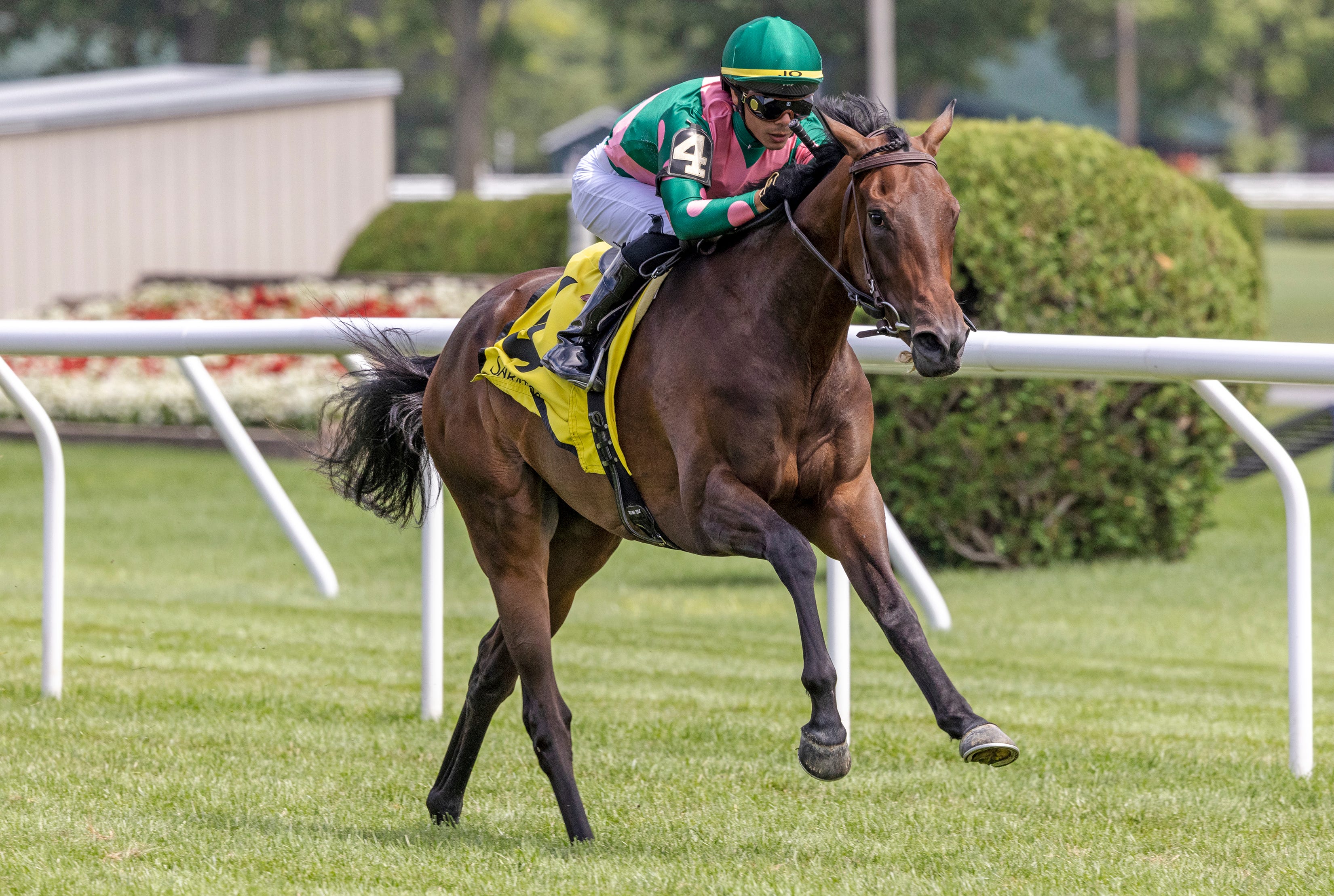 P.G. Johnson: Be Your Best pretty good in debut score