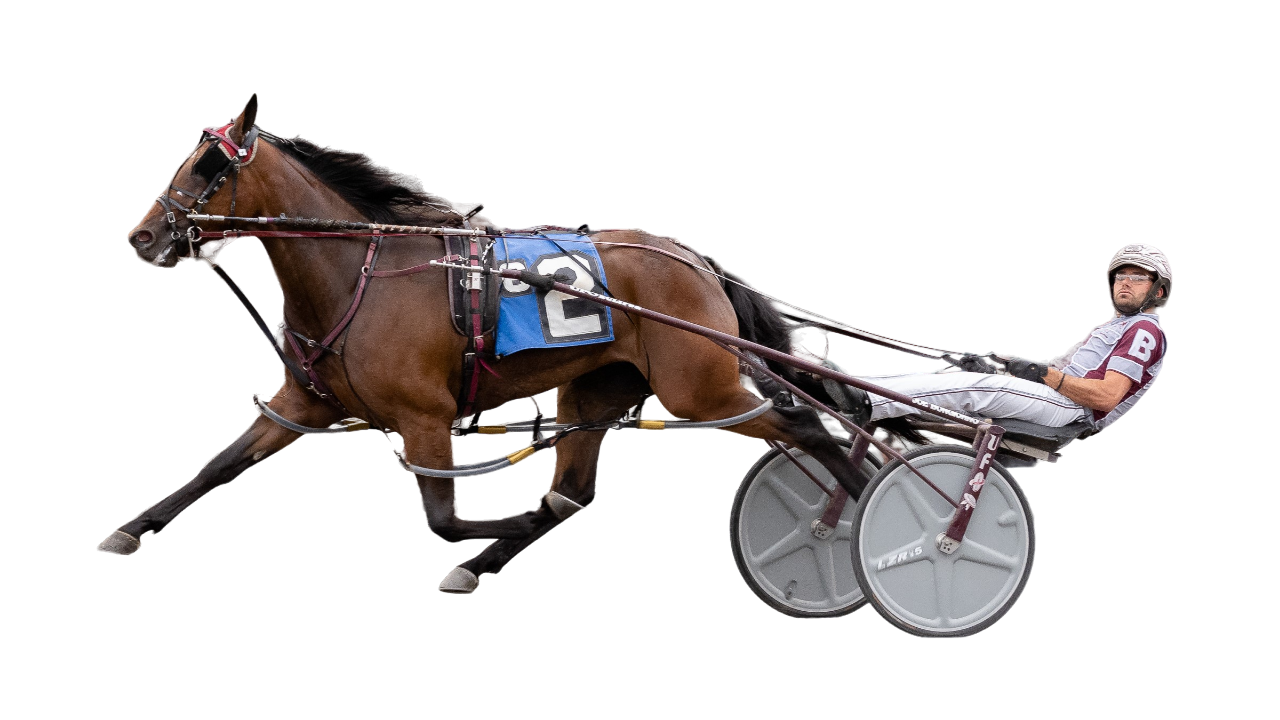 Harness: Team Bongiorno has filly power for 2023