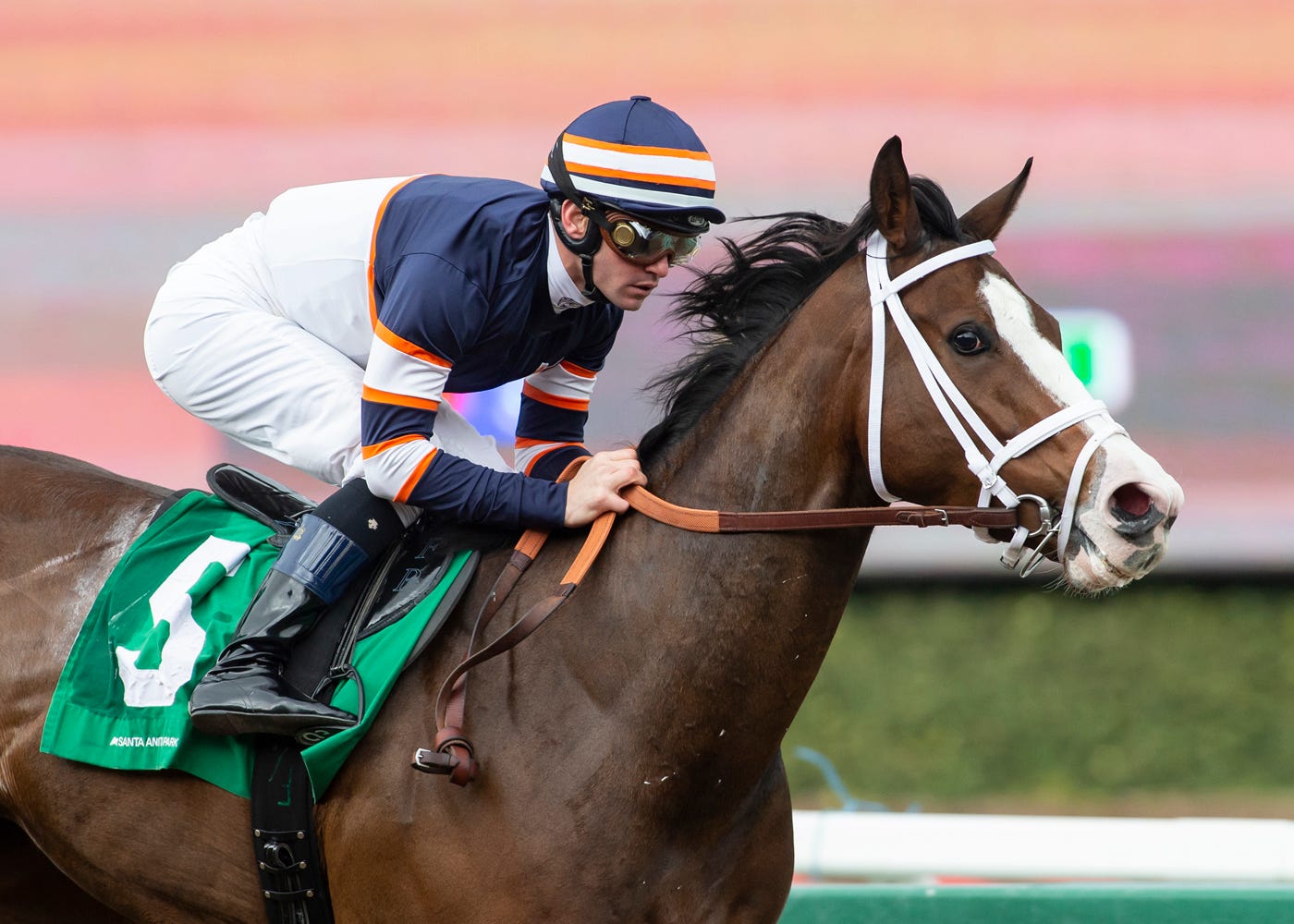 Becca Taylor faces only four in Desert Stormer