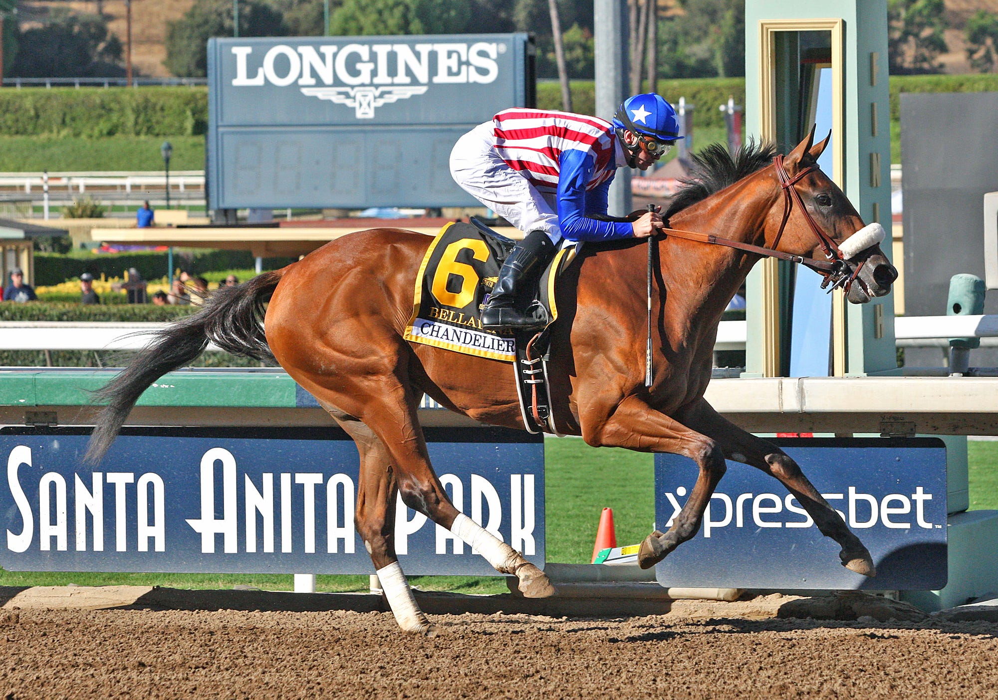 Bellafina punches Breeders' Cup ticket with easy Chandelier score