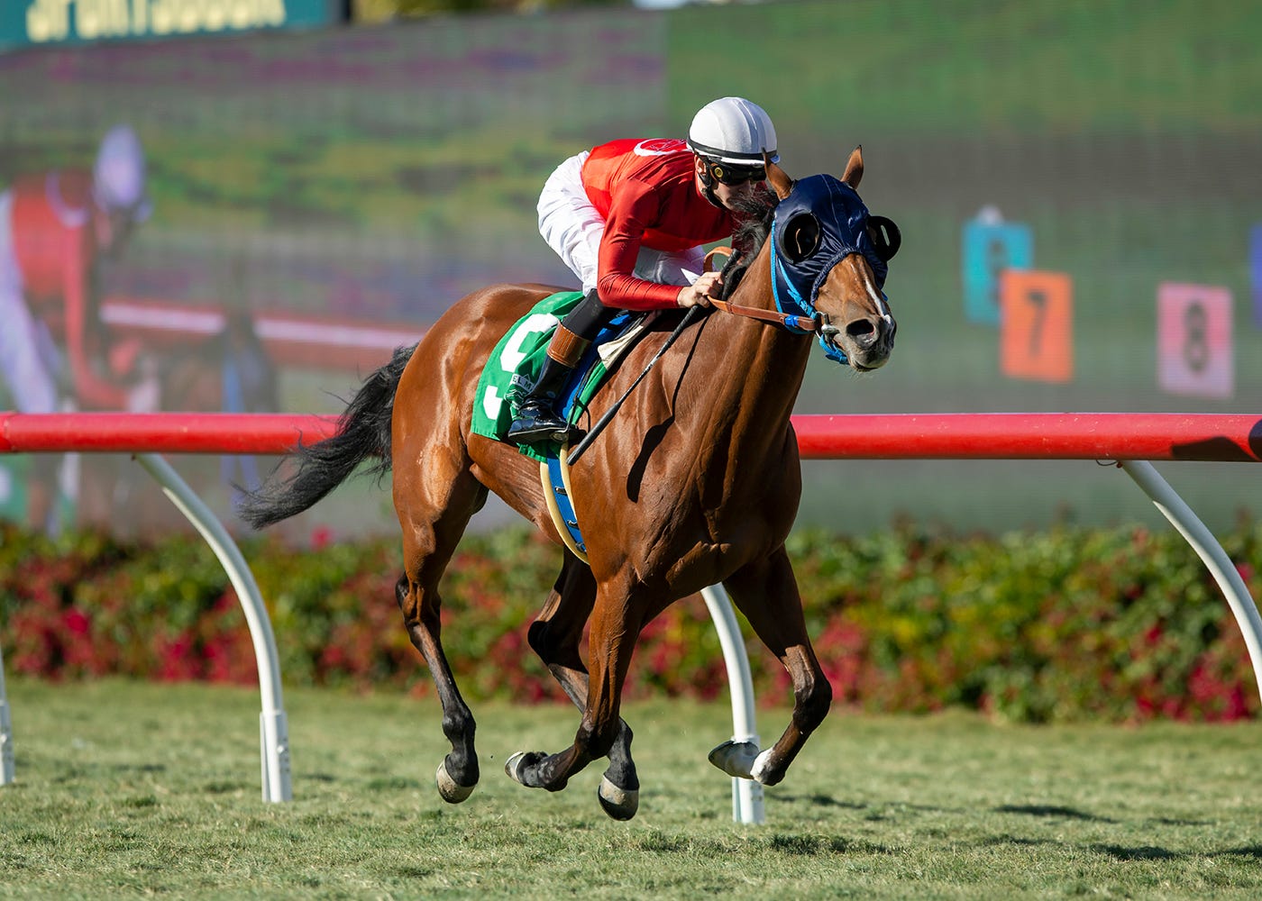 Bellstreet Bridie wins Red Carpet Handicap in first U.S. start