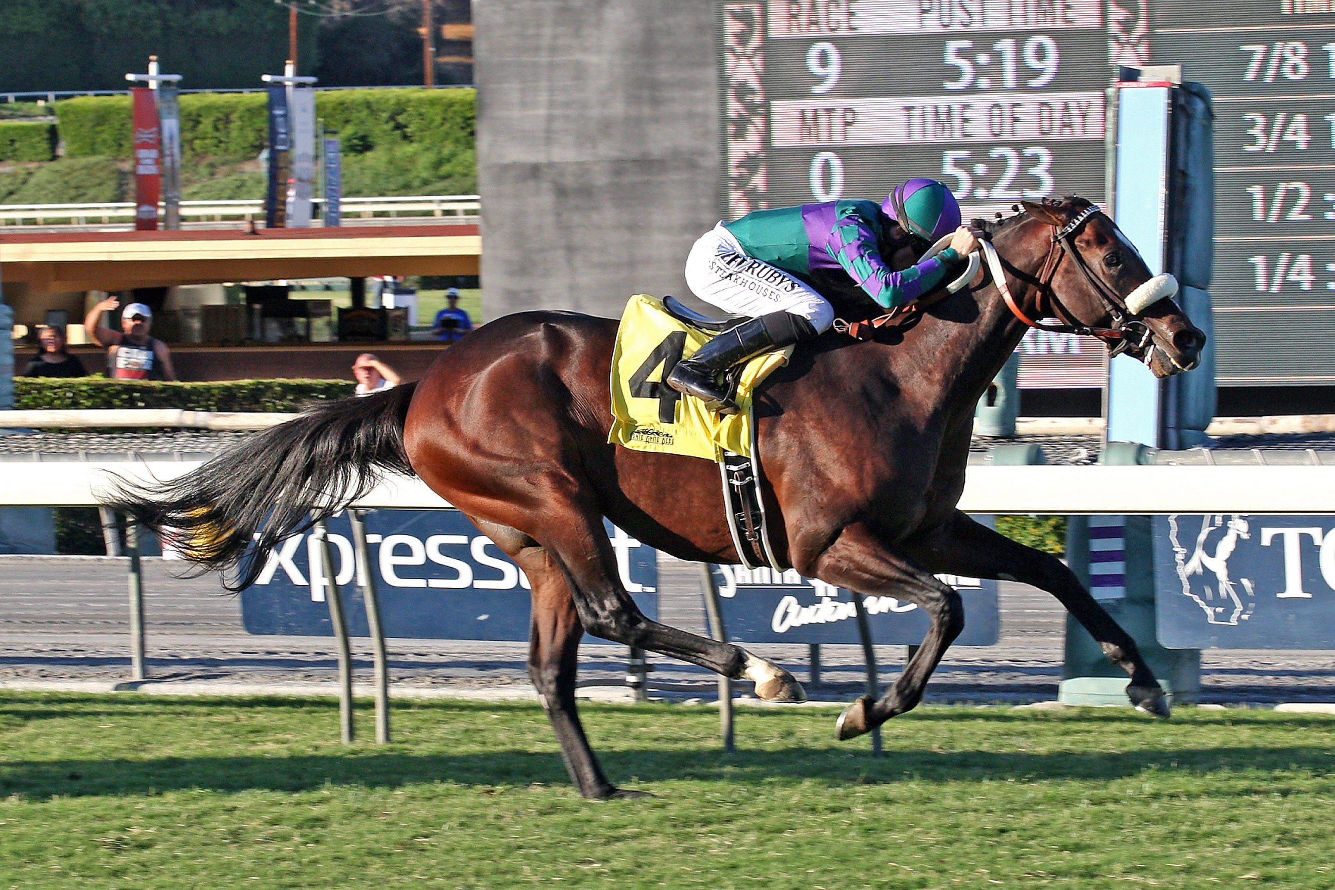 Big Bane Theory to get a shot at Breeders' Cup Mile