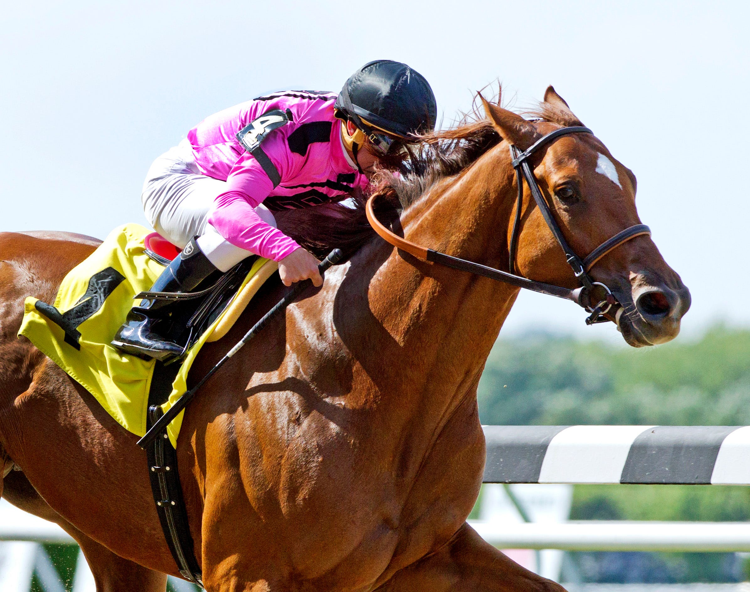 Evan Shipman distance will be test for Big Business