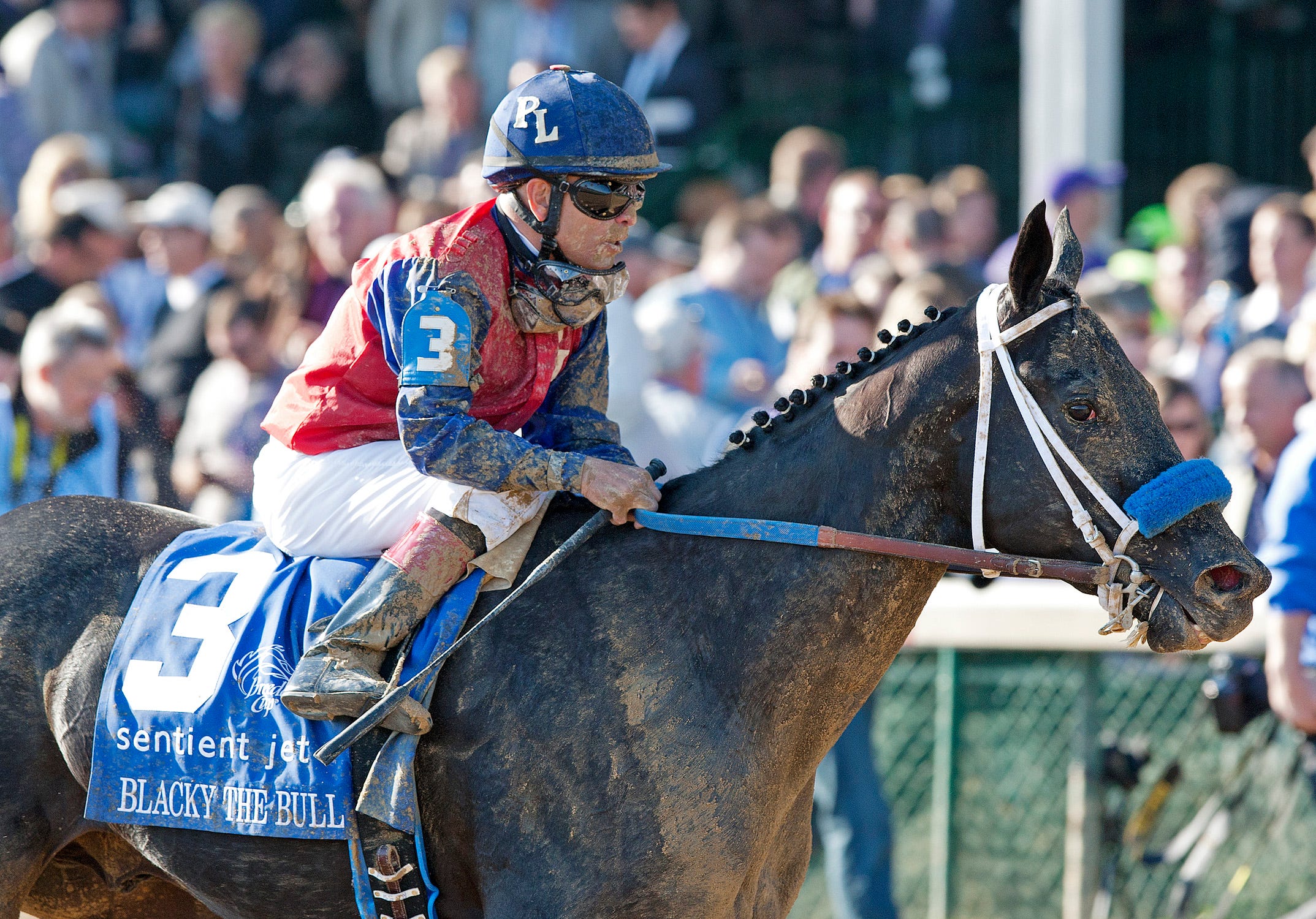 Golden Gate Fields: California Derby appears wide open