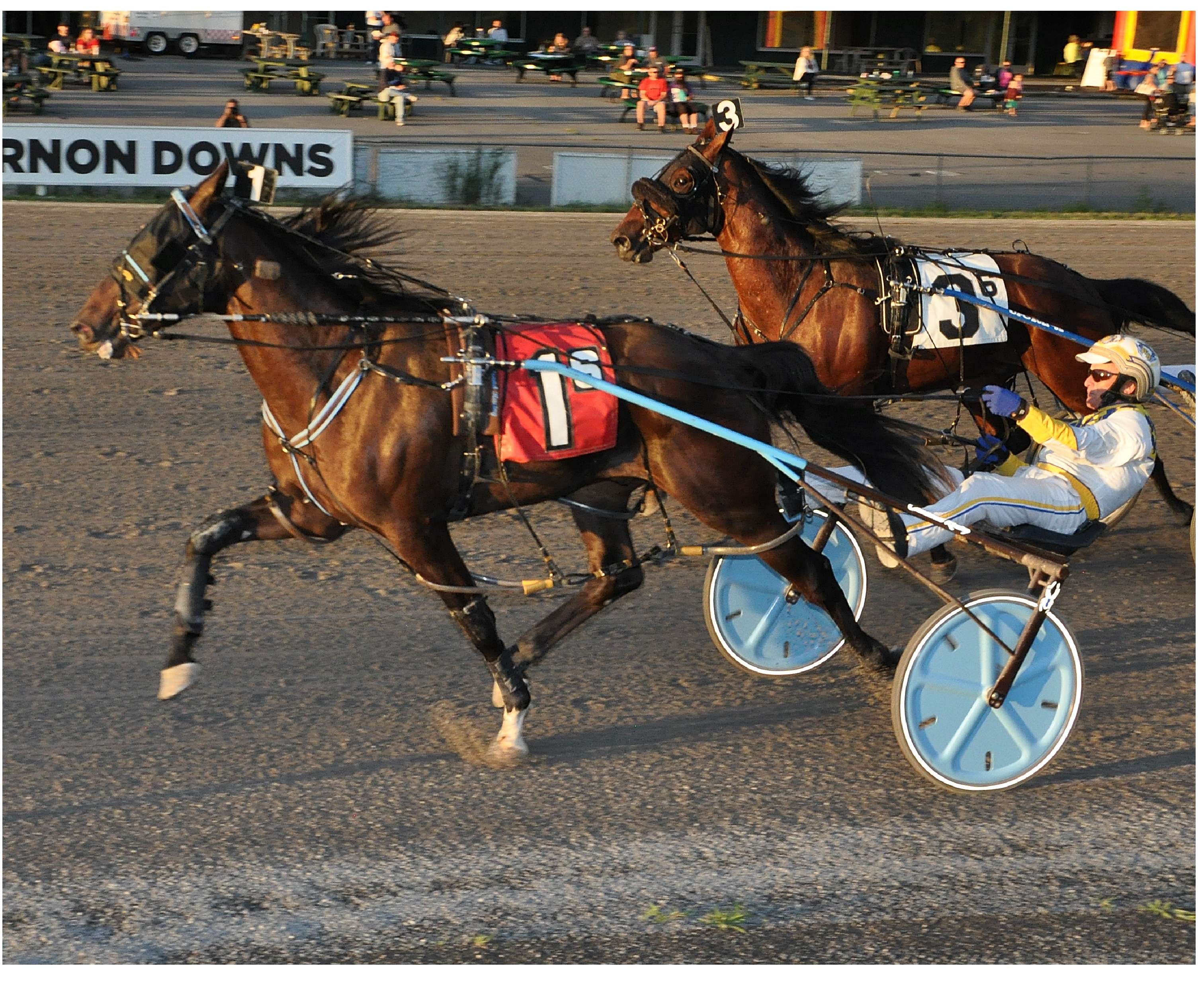 Meadowlands: From chills to thrills with Blue Hunt