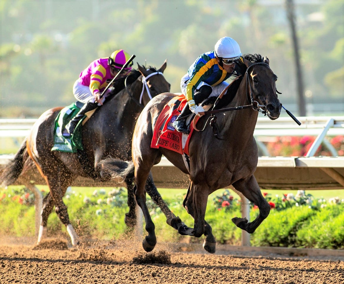 Breeders' Cup Distaff: Longshot Blue Stripe ready this time around