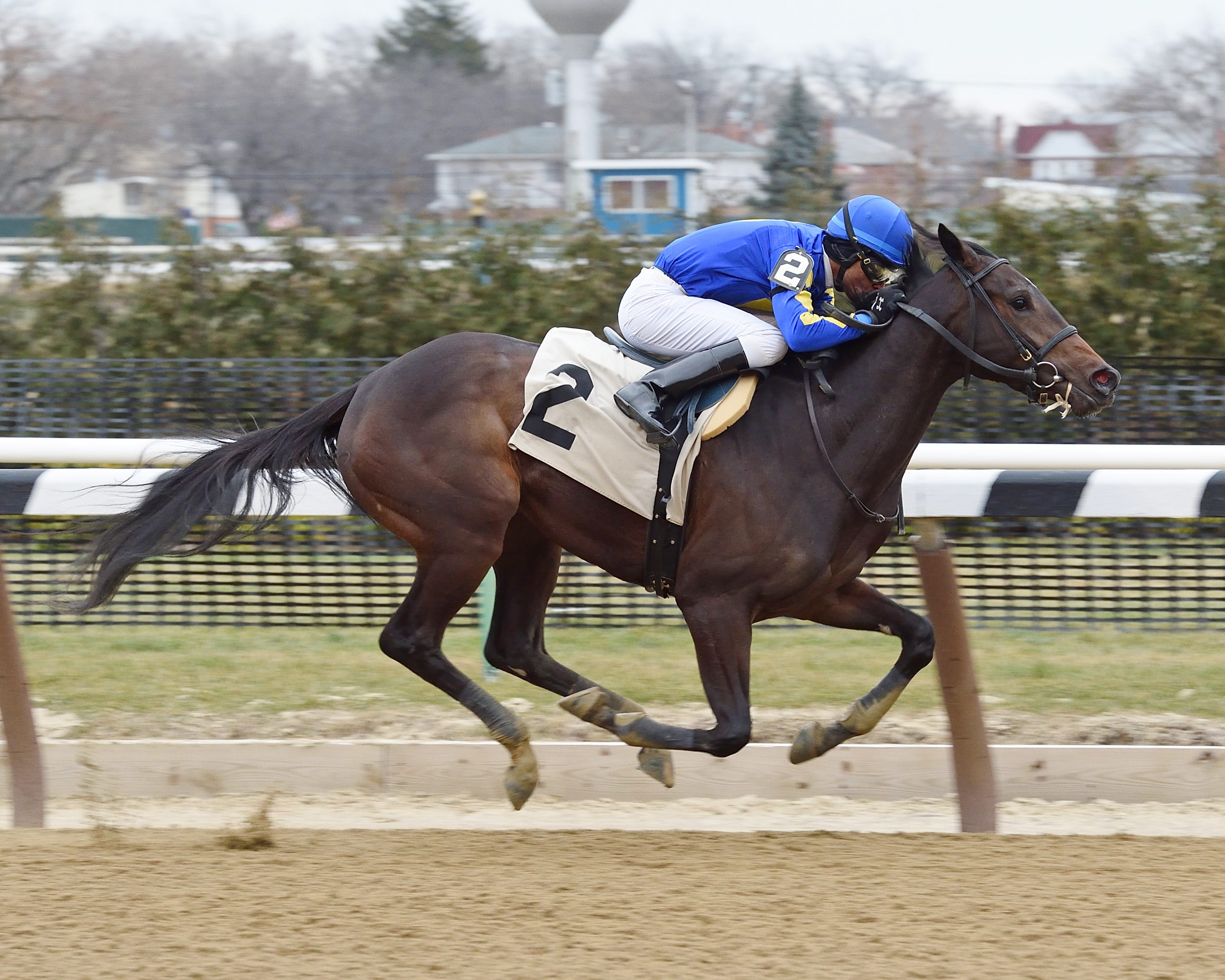 No shortage of opponents for Bluegrass Flag