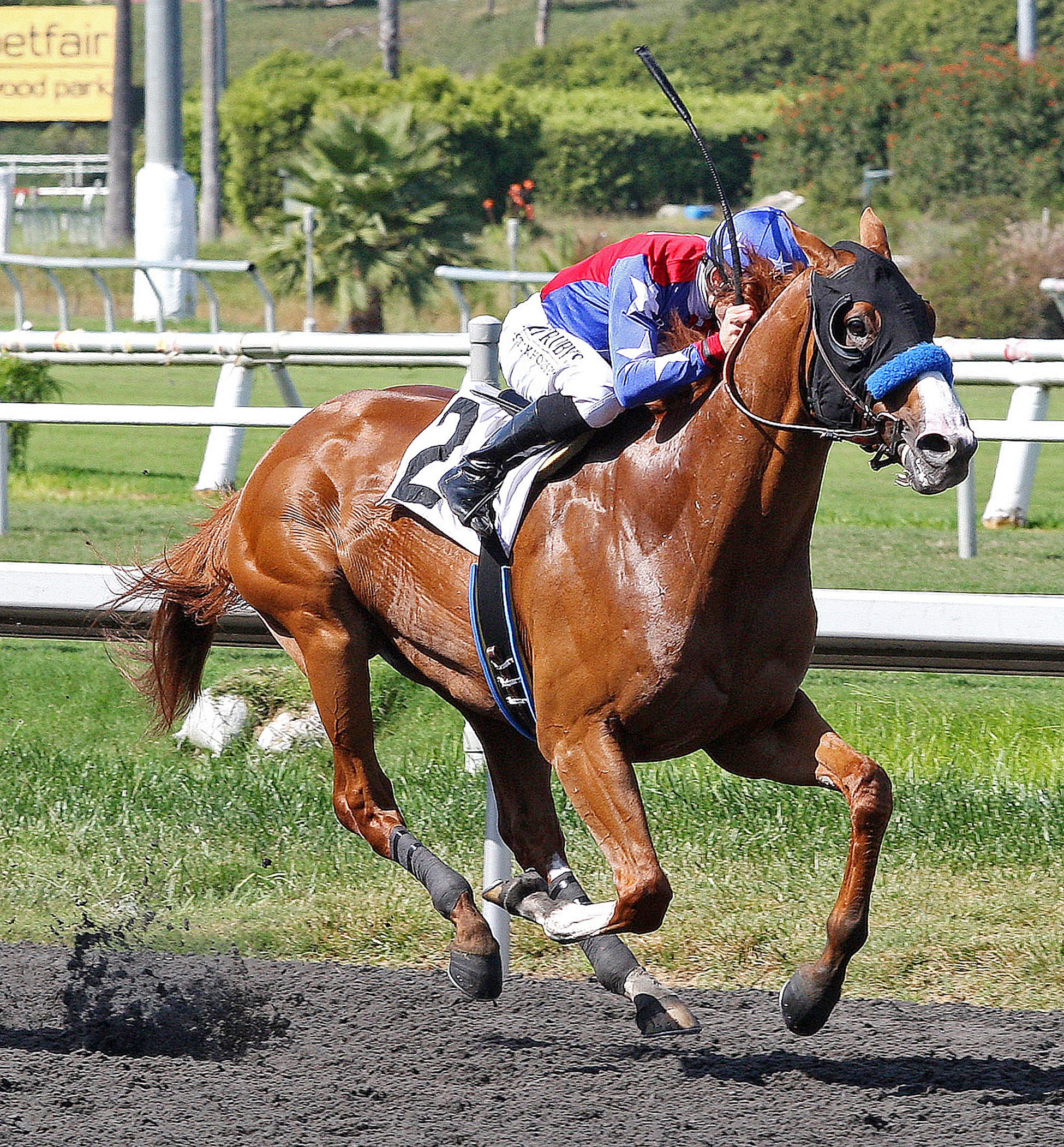 Weekend Warrior for Sept. 8, 2012: Lots to like about Fly Lexis Fly in ...