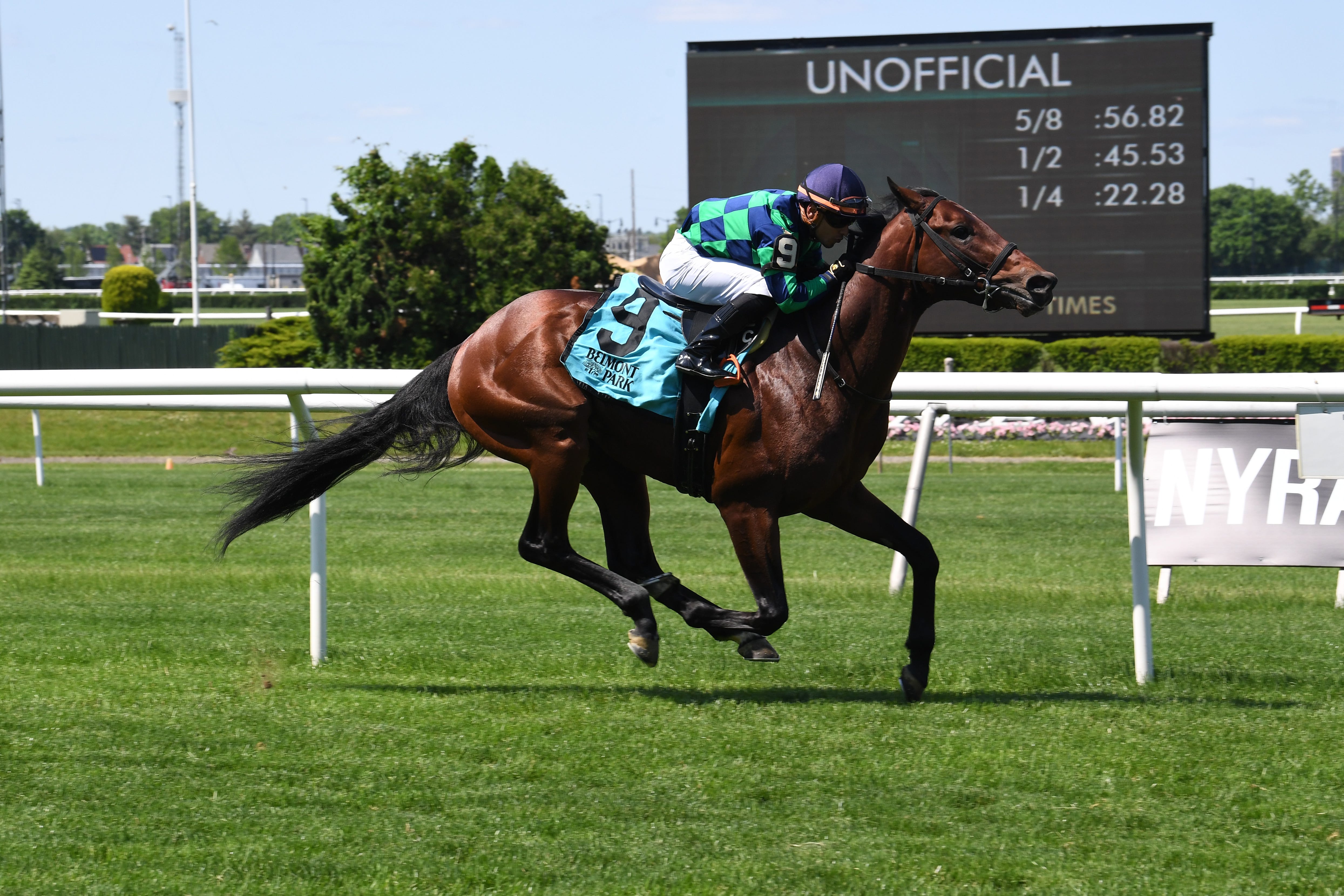 Dream Jereem, Boston Tea Party meet as first-time geldings