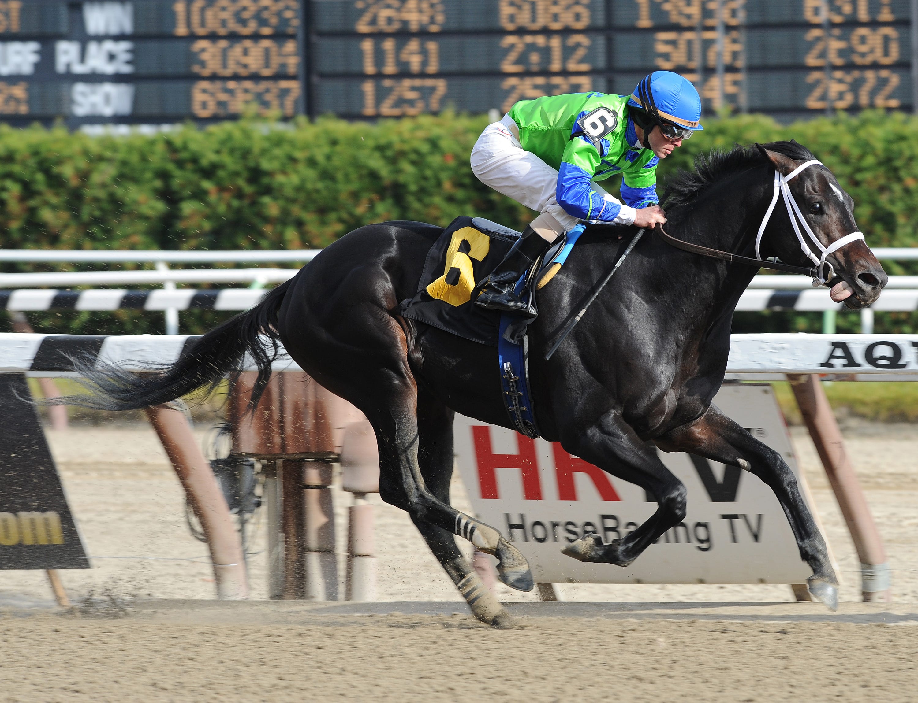 Gulfstream: Boys At Tosconova gets a prep before climbing into stakes ...