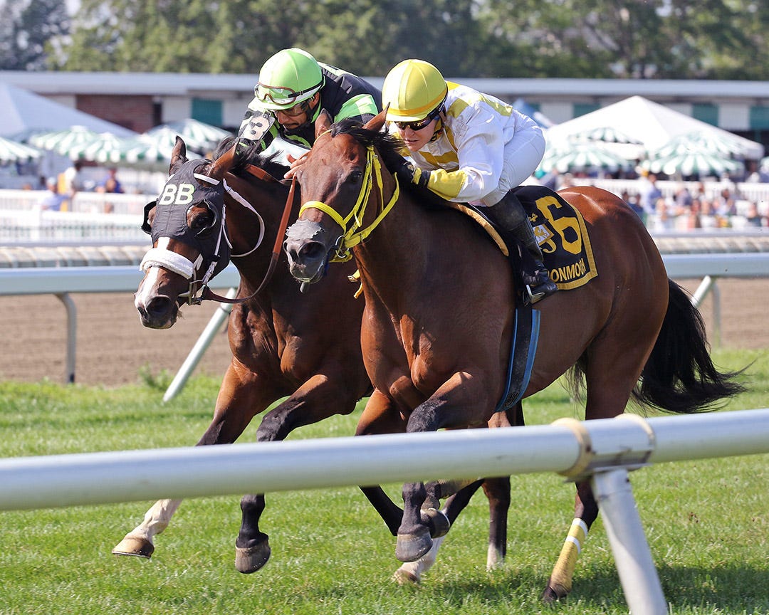 Bramble Bay looks to add to Dini's strong season