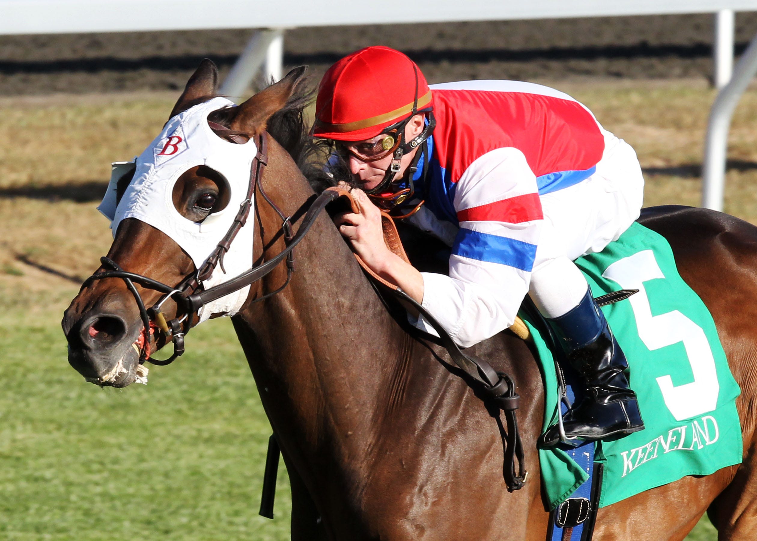 Brass Hat retired at age 10 after 40 starts