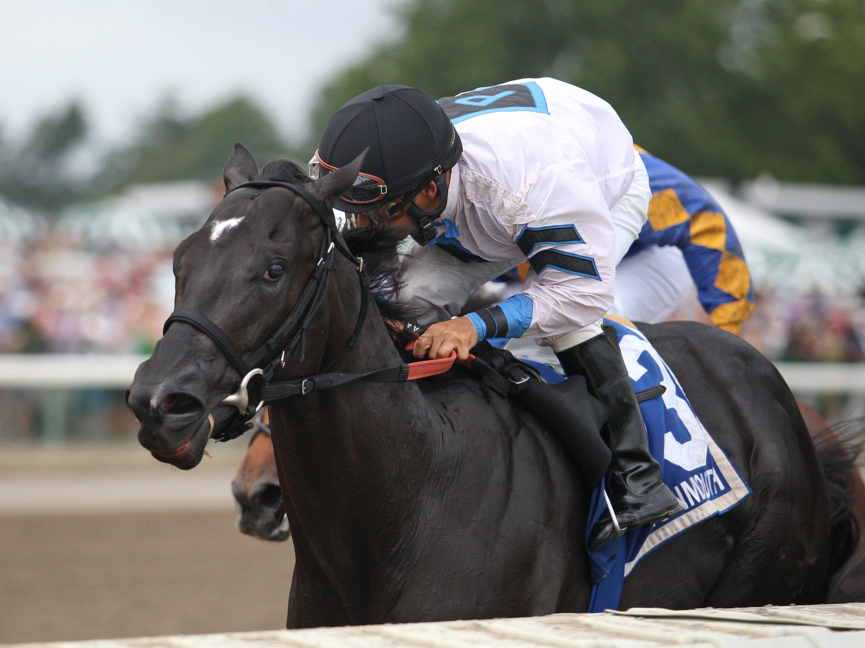 Monmouth: Brave Dave overcomes stumble to win Sapling