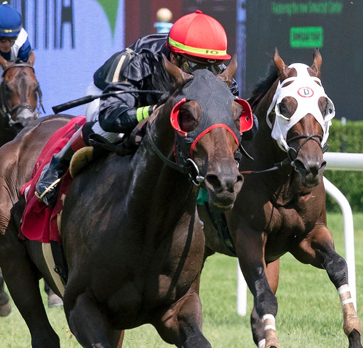 Breaking the Rules enters Gio Ponti at top of his game
