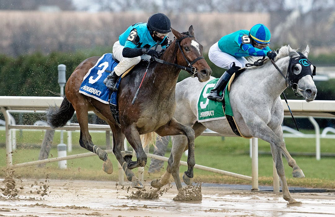 Parx trainer Danny Velazquez injured in training accident