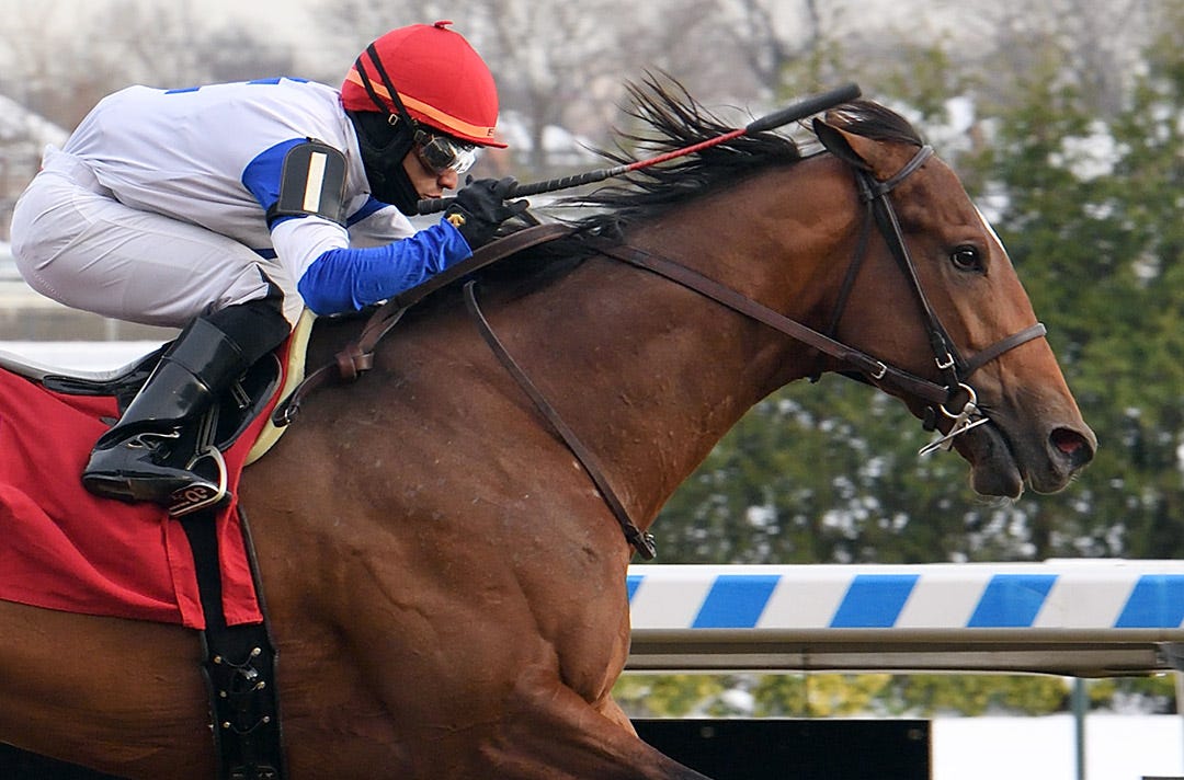 By George gets chance to show what he's got in Swale