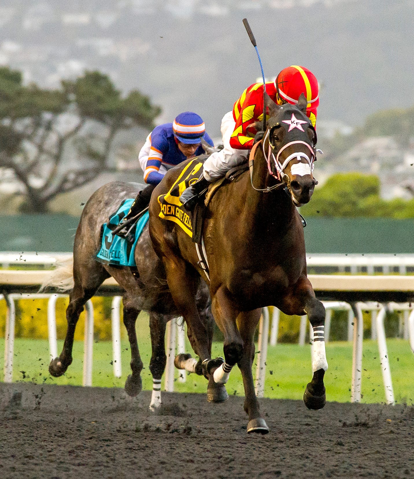 Chancery Way ($22.40) runs away with Bear Fan Stakes